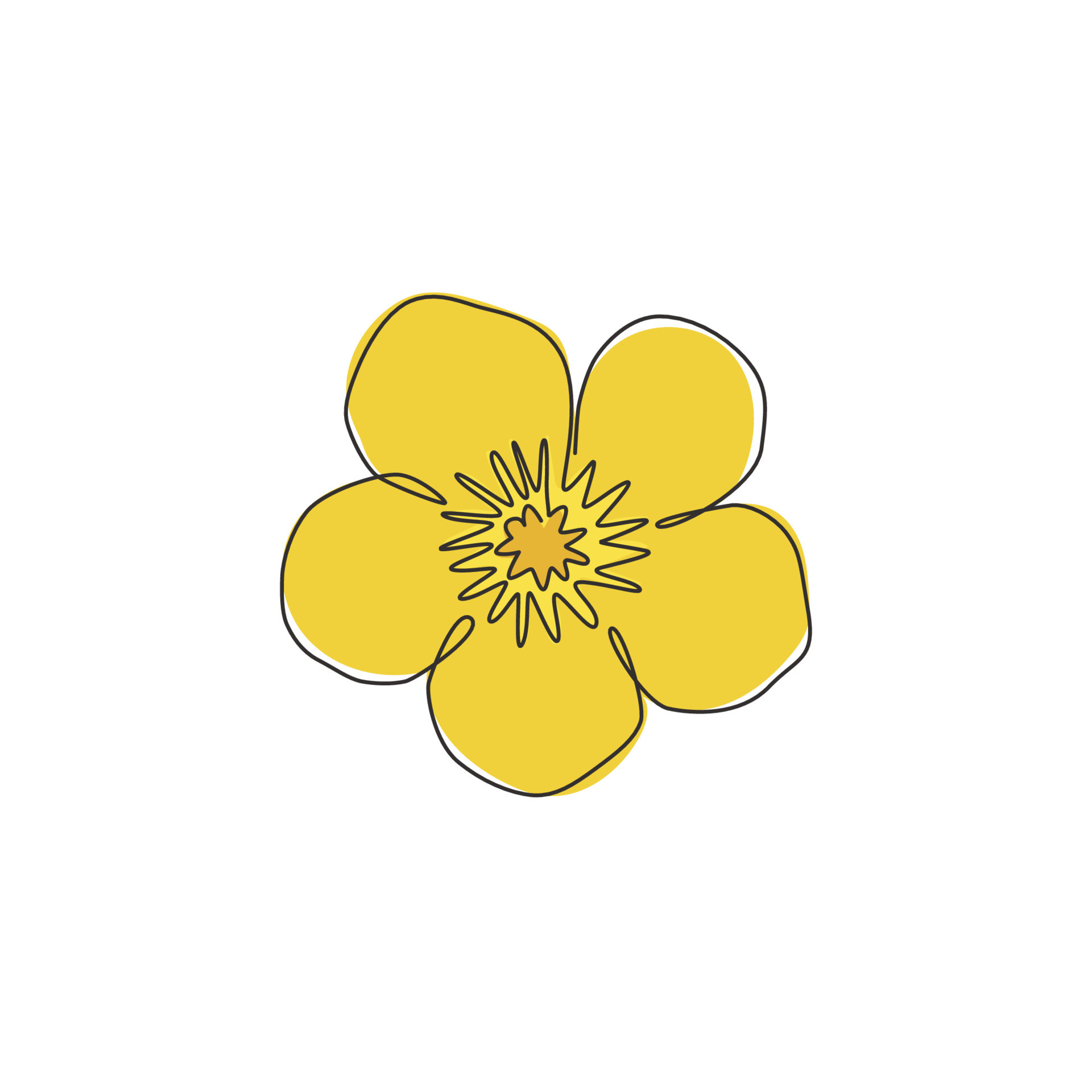One Continuous Line Drawing Beauty Buttercup Fresh Top View For Home
