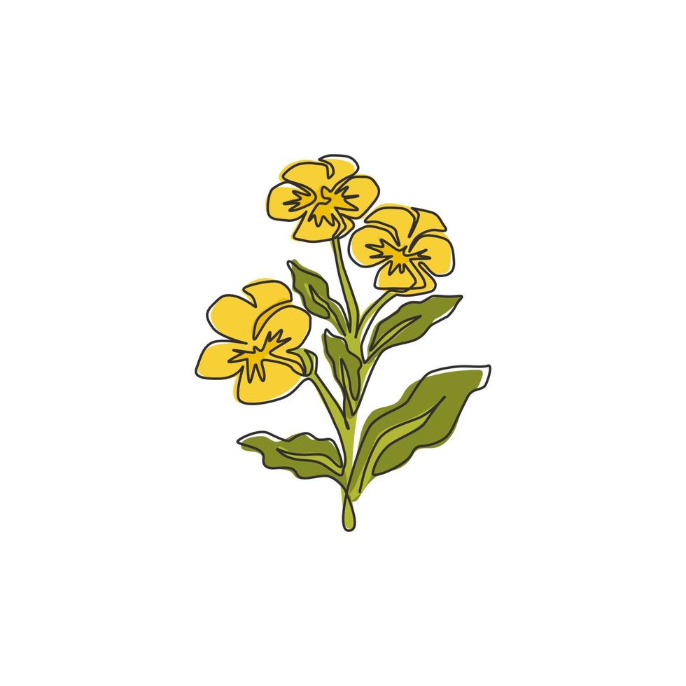 Single Continuous Line Drawing Beauty Fresh Ranunculus For Home Decor