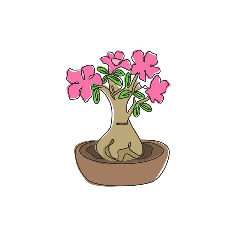 Single Continuous Line Drawing Fresh Beauty Potted Adenium For Garden