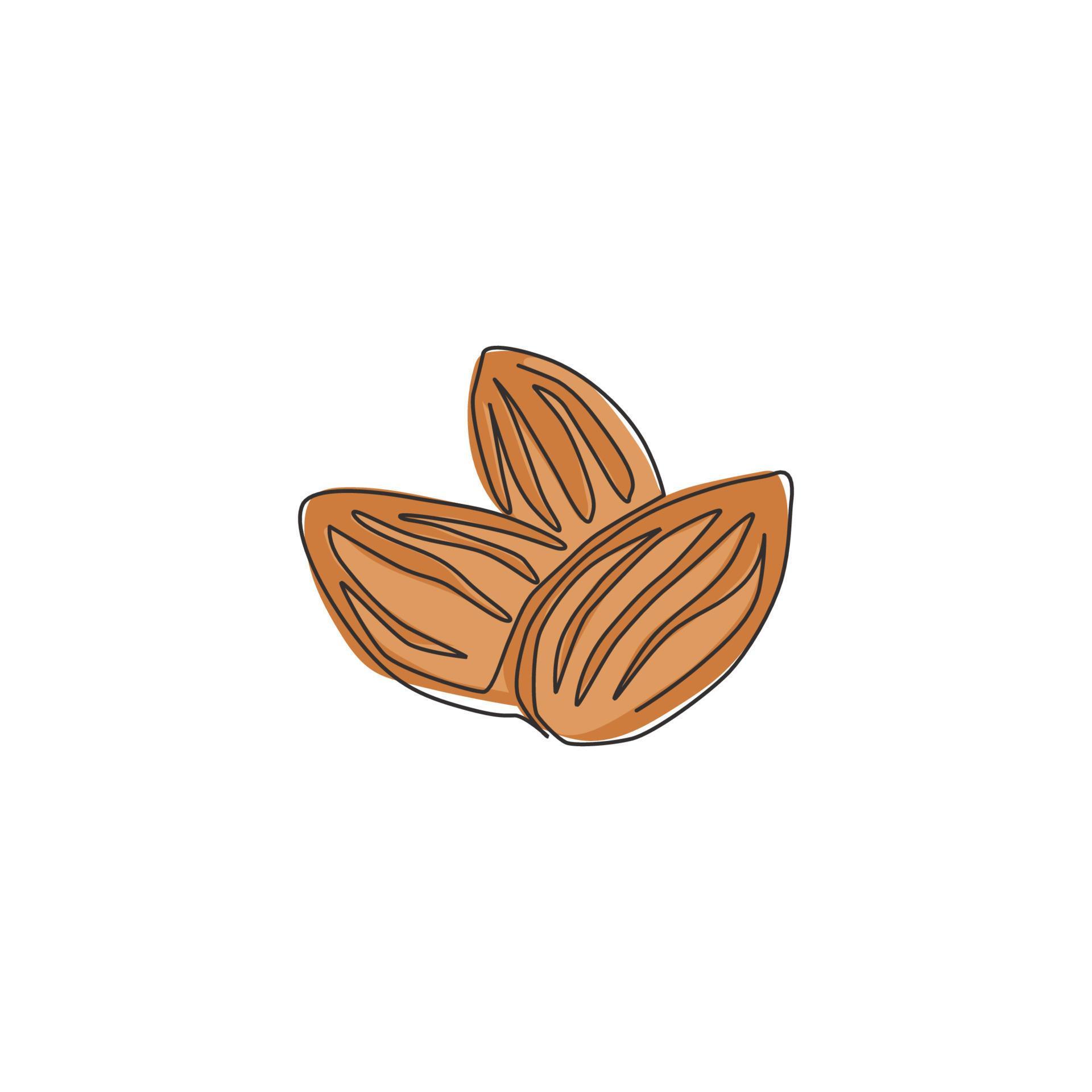One Continuous Line Drawing Of Whole Healthy Organic Almonds Group For