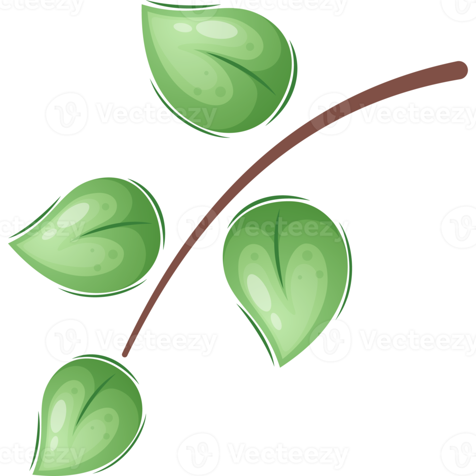 Ginkgo Biloba Planta Dibujos Animados Planta Hoja Rama Png Pngegg | My ...