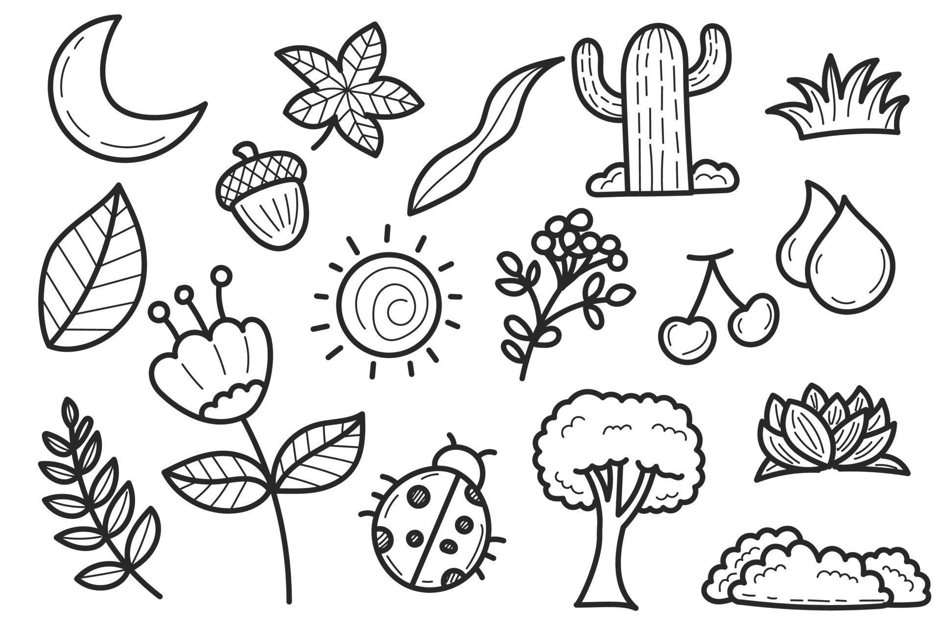 Set of nature doodle elements isolated on white background 20398648 ...