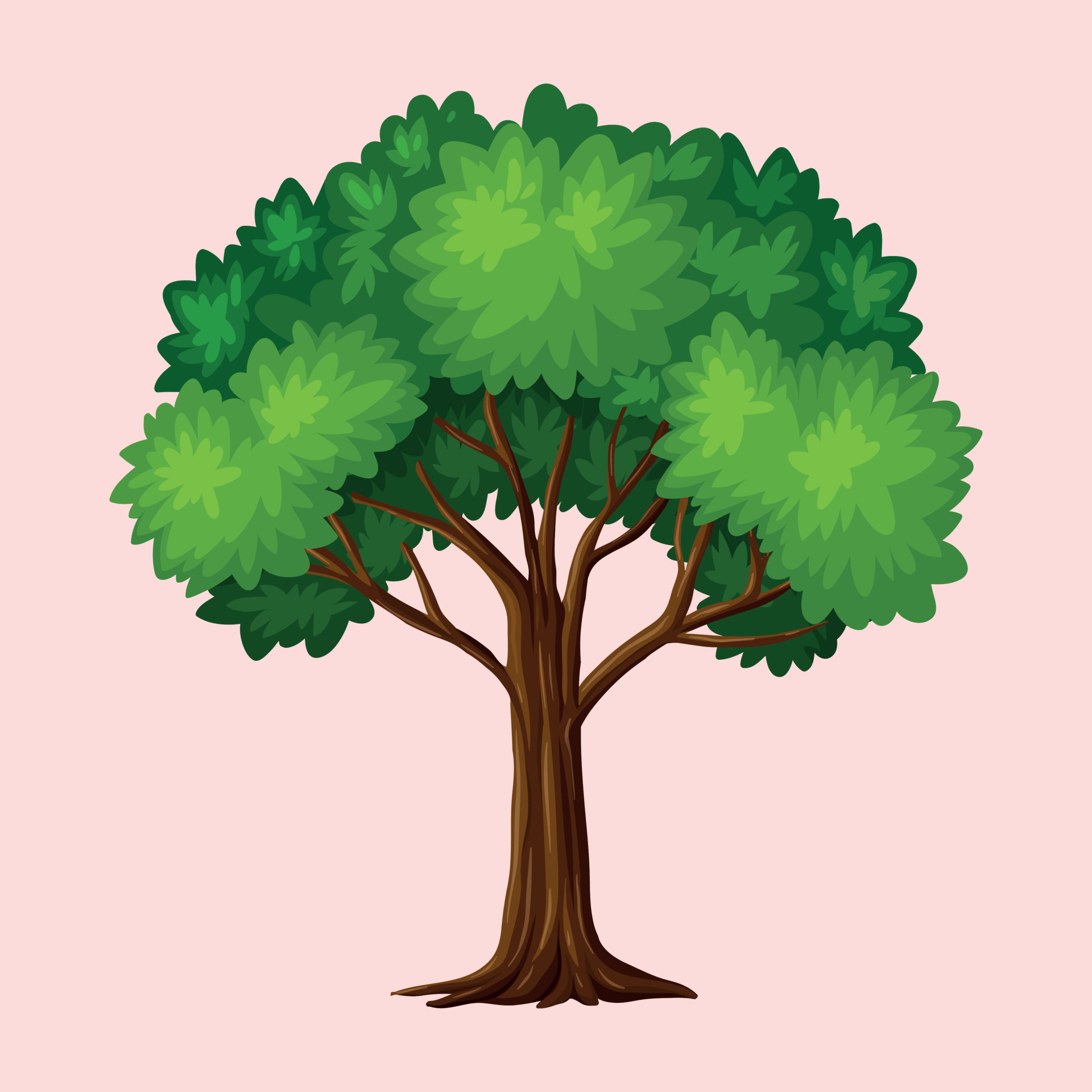 Various tree vectors. Forest and nature concept. Collection of ...