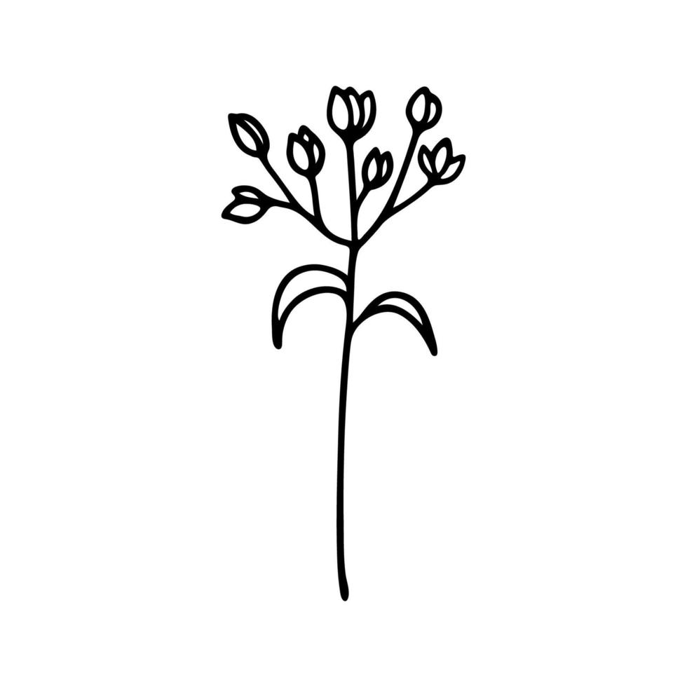 Hand Drawn Herbal Floral Clipart One Line Doodle Vector 20426325