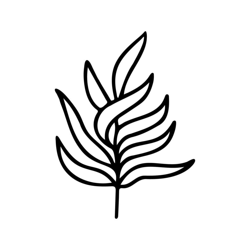 Hand Drawn Herbal Floral Clipart One Line Doodle Vector 20426503