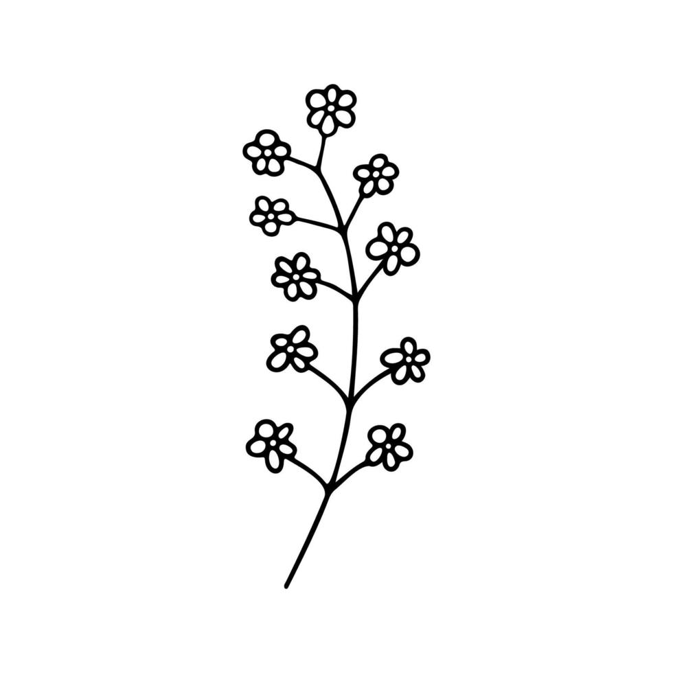 Hand Drawn Herbal Floral Clipart One Line Doodle Vector 20426513