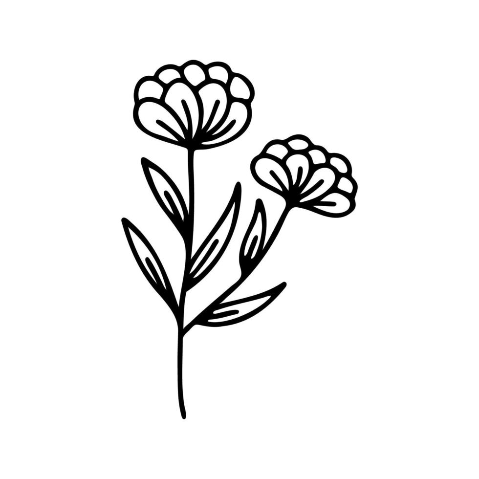 Hand Drawn Herbal Floral Clipart One Line Doodle Vector 20426521