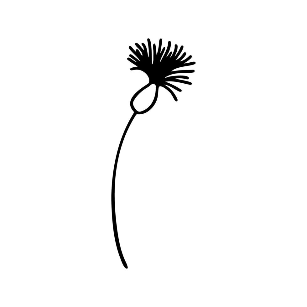 Hand Drawn Herbal Floral Clipart One Line Doodle Vector 20426536