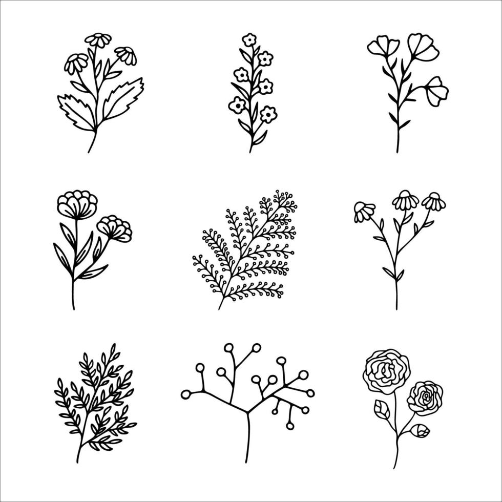 Hand Drawn Herbal Floral Clipart Collection One Line Doodle Vector