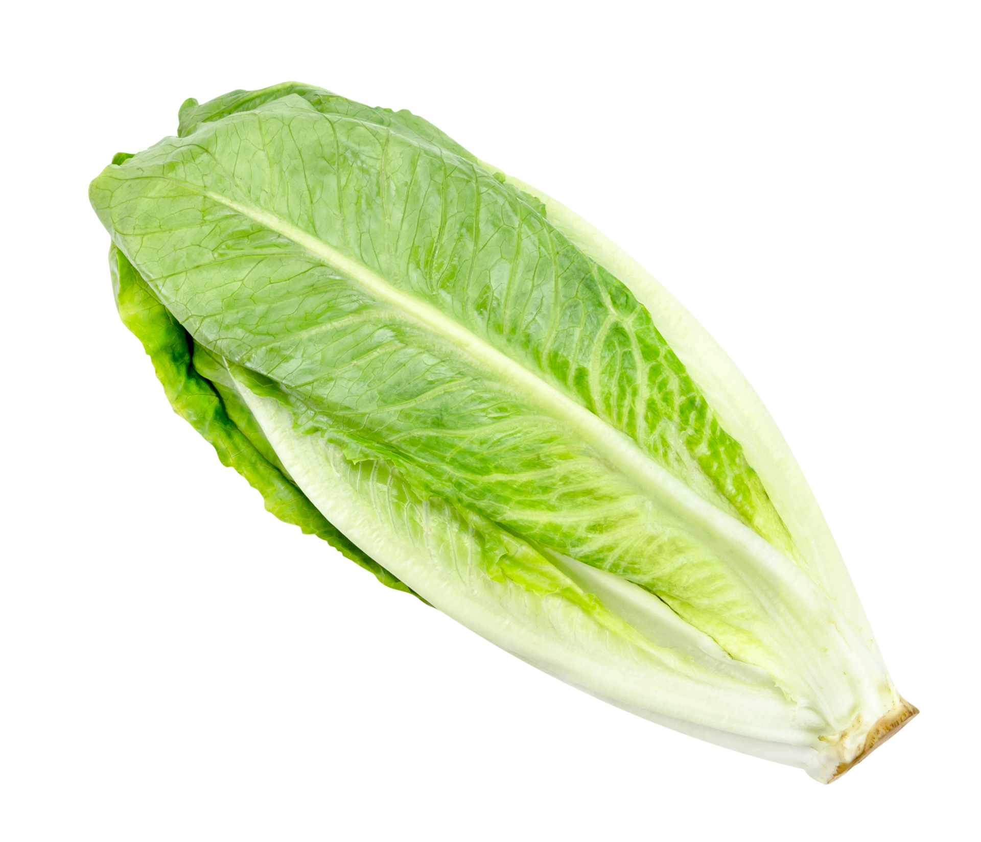 Romaine Lettuce Png