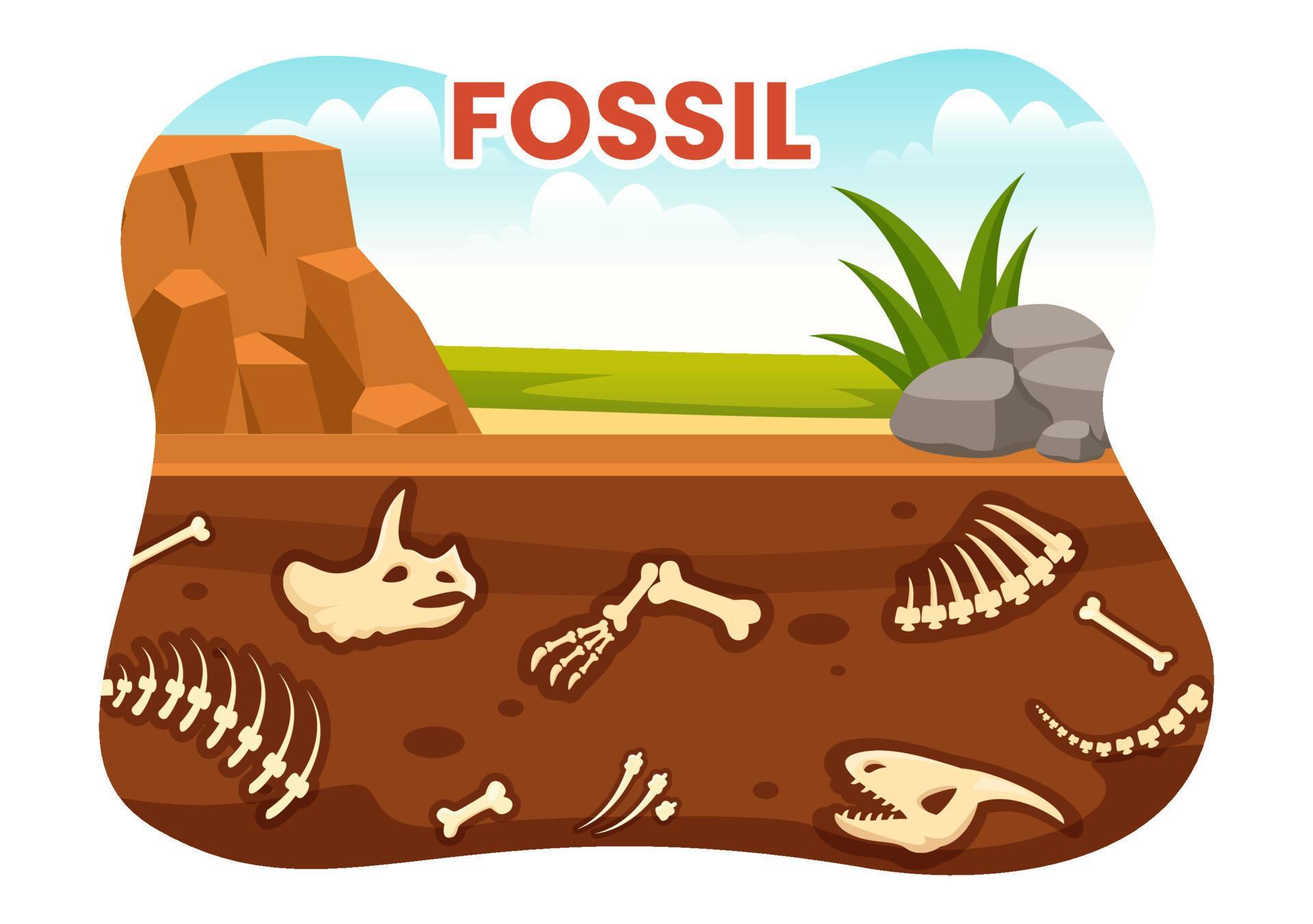 Fossil Illustration with Archaeologists Finds Dinosaurs Skeletons on ...