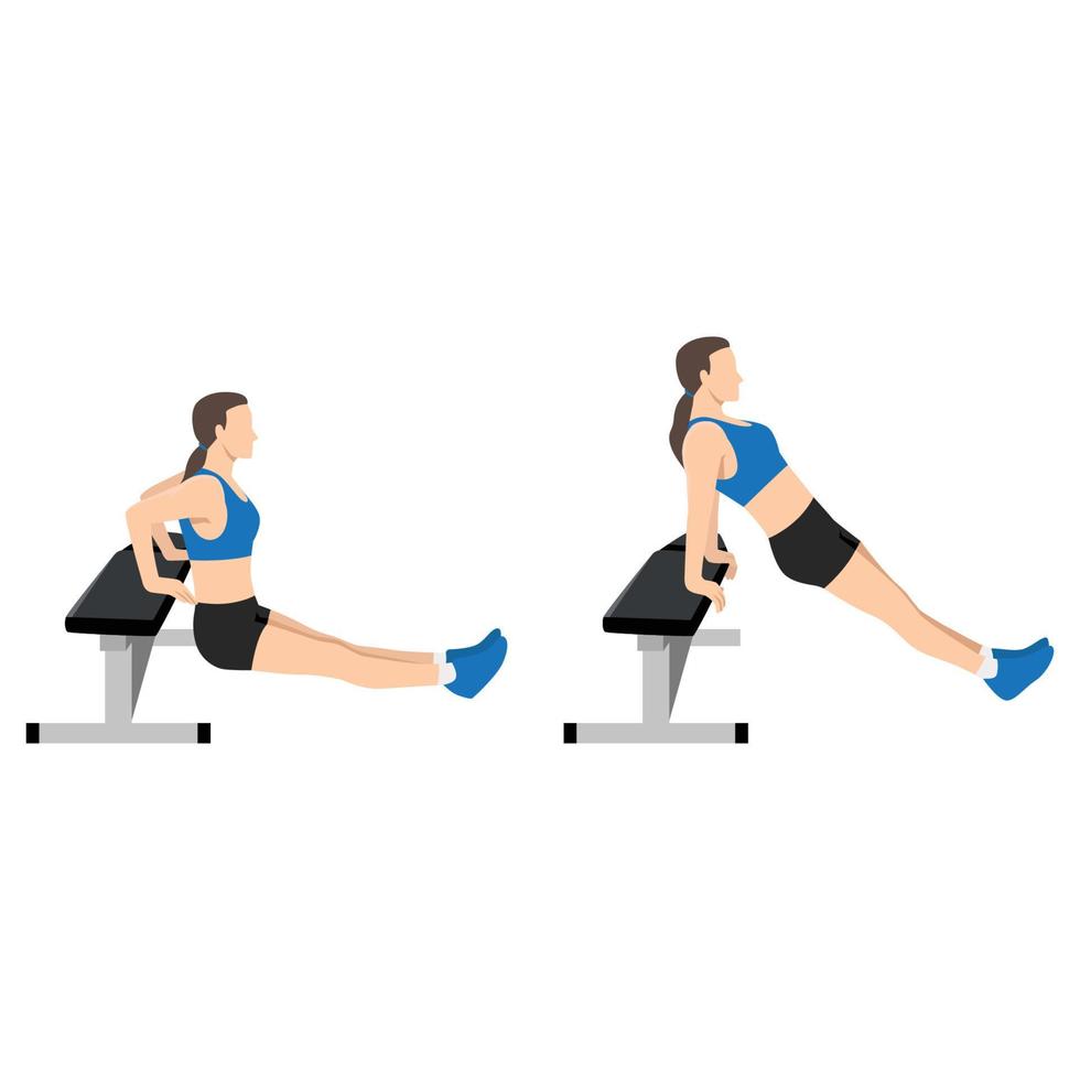 Woman doing bench tricep dips exercise. Flat vector illustration ... Woman doing bench tricep dips exercise. Flat vector illustration ...