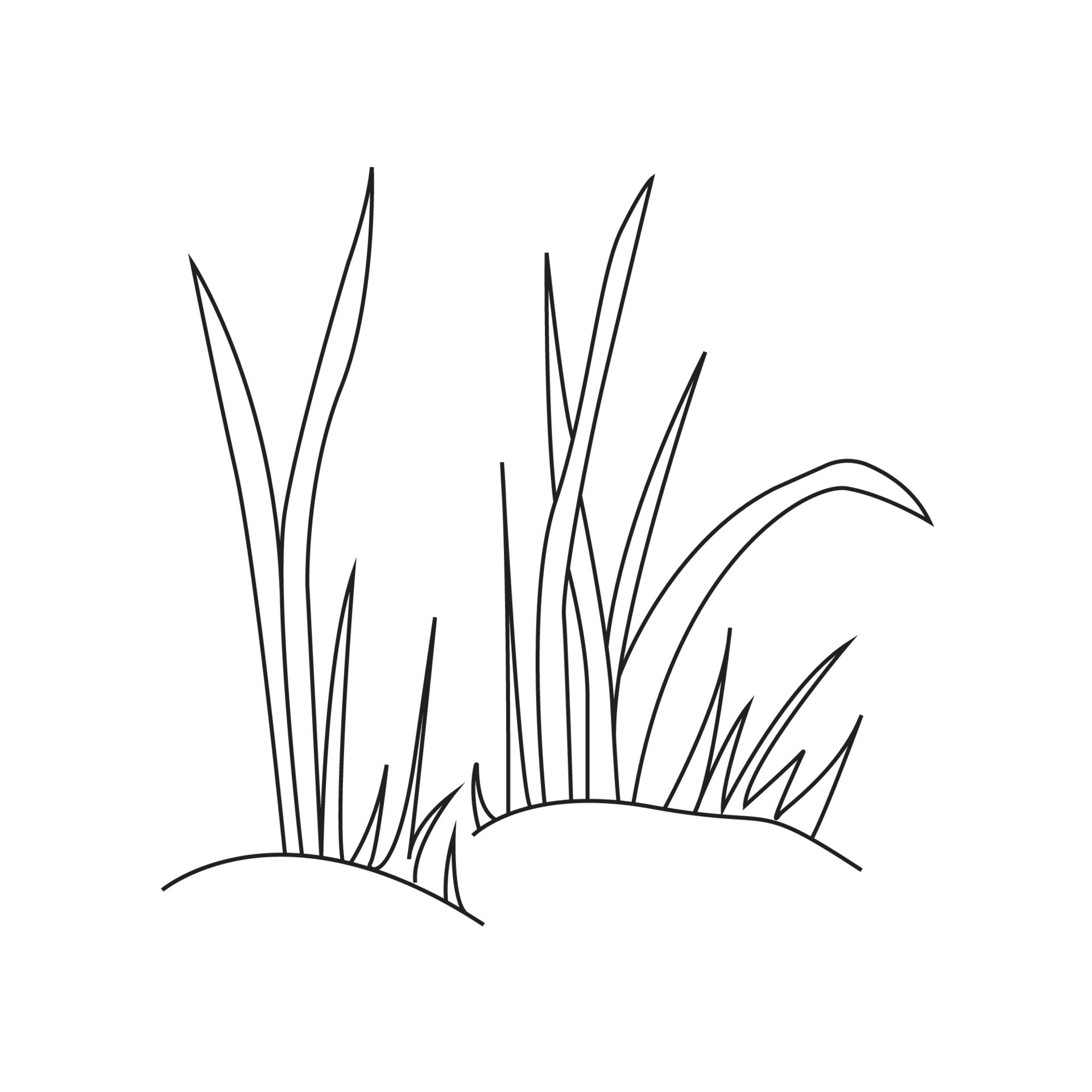 Hand Drawn Grass Illustration Isolated On White Background 20562811 Vector Art At Vecteezy
