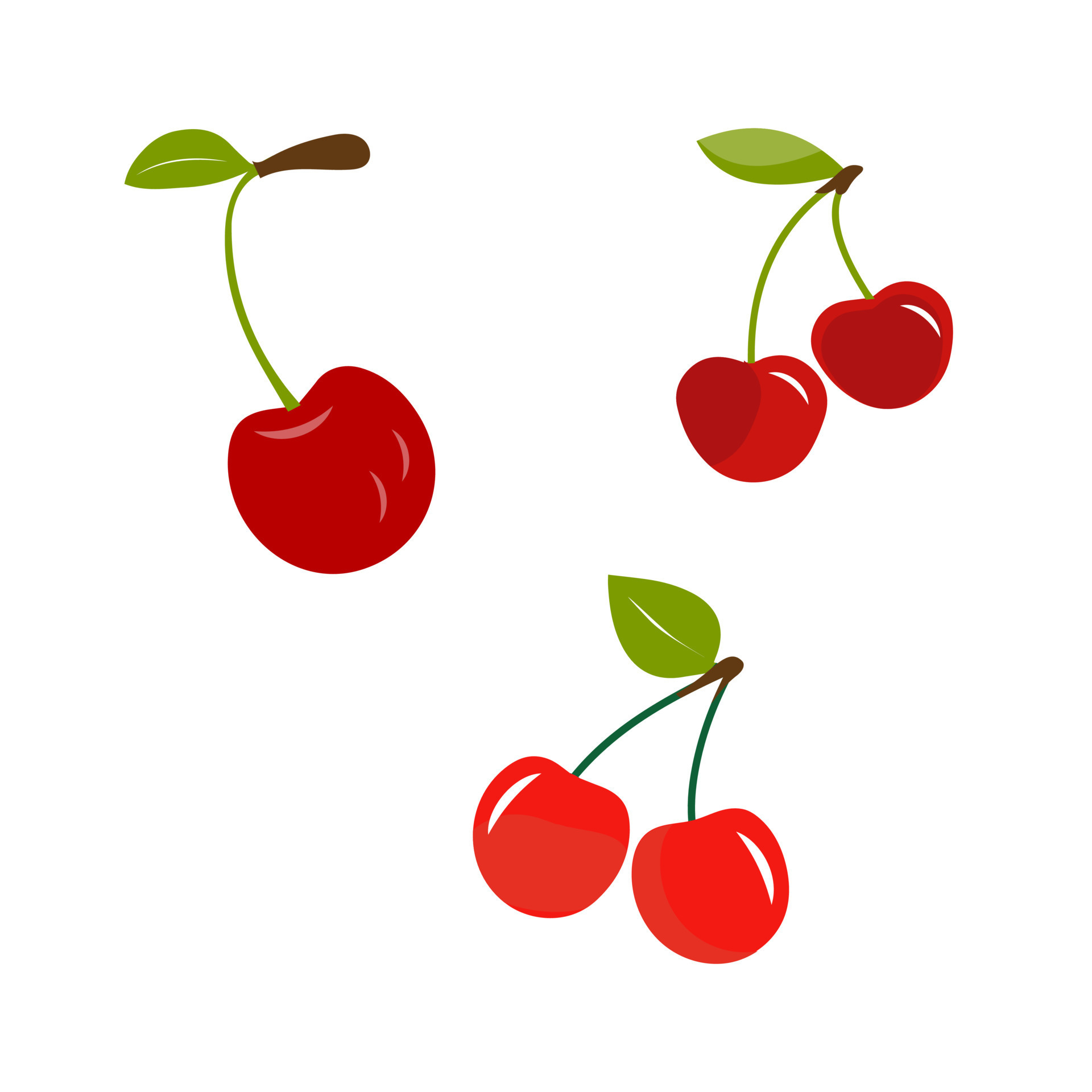Cherry Cartoon Vector Illustration Cute Cherry Character Icon Vector Illustration Character