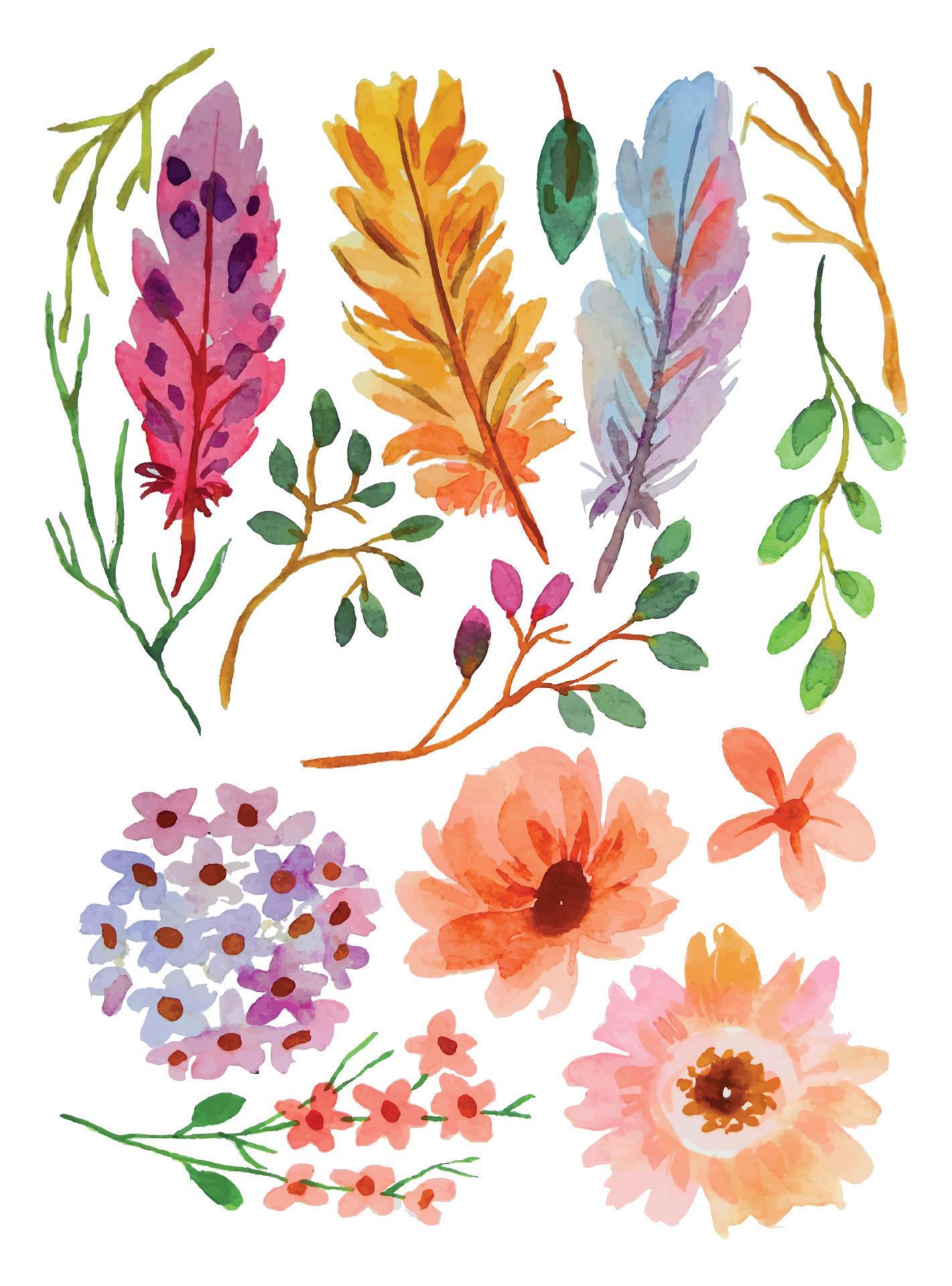 Watercolor Flower Elements Clipart 20580208 Vector Art At Vecteezy