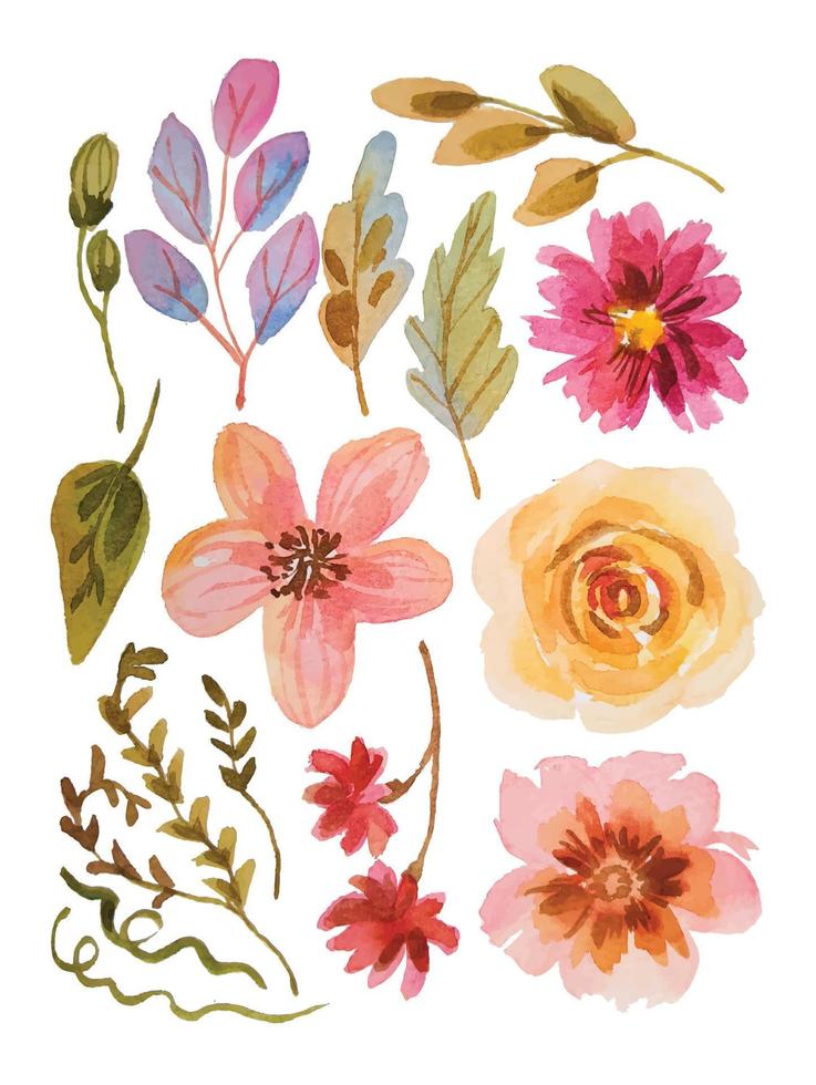 Watercolor Flower Elements Clipart 20580213 Vector Art At Vecteezy