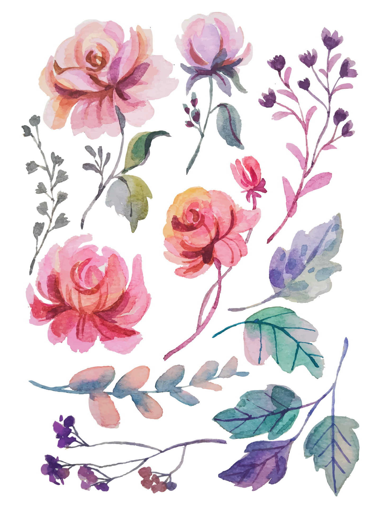 Watercolor Flower Elements Clipart 20580214 Vector Art At Vecteezy