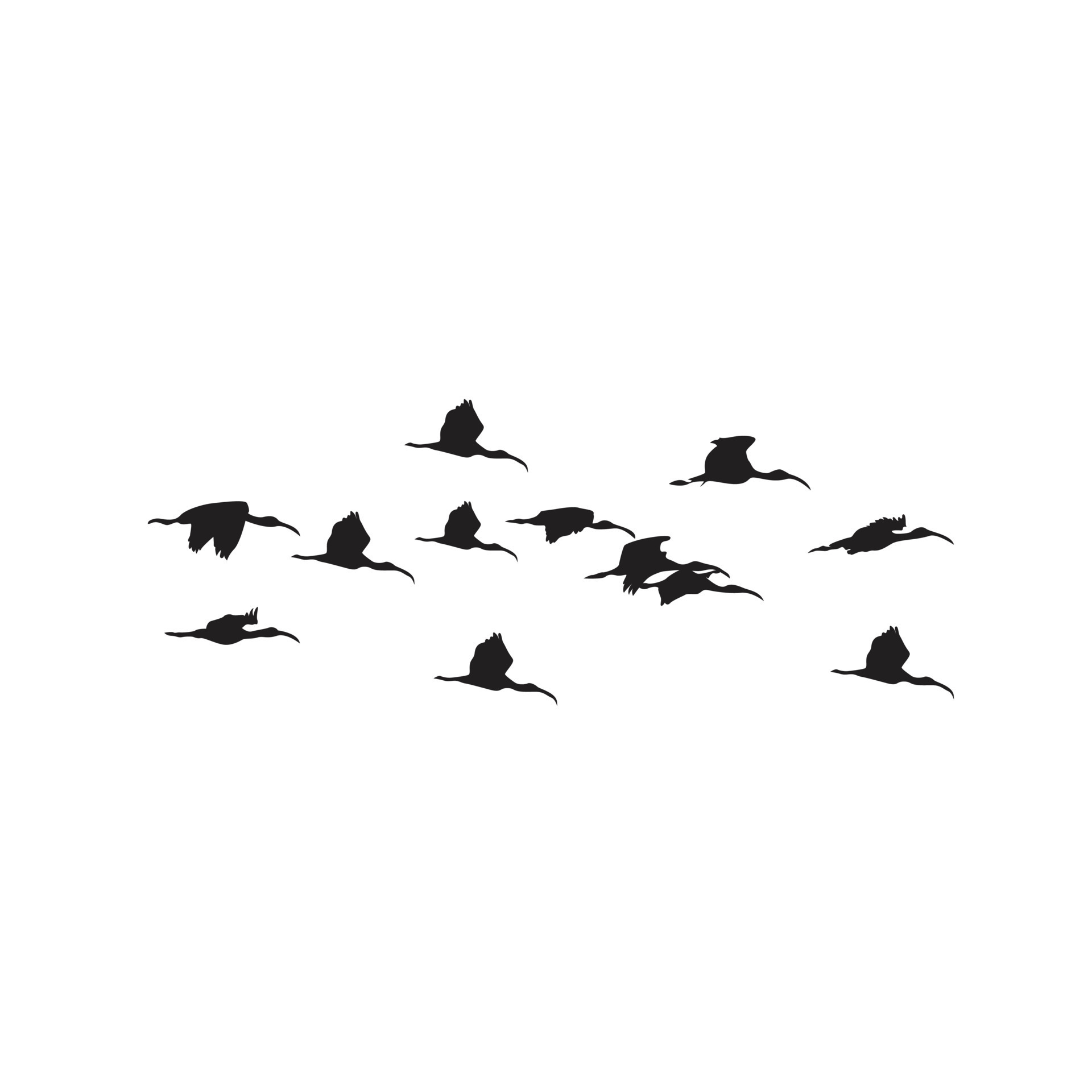 Flying birds vector design. 20583170 Vector Art at Vecteezy