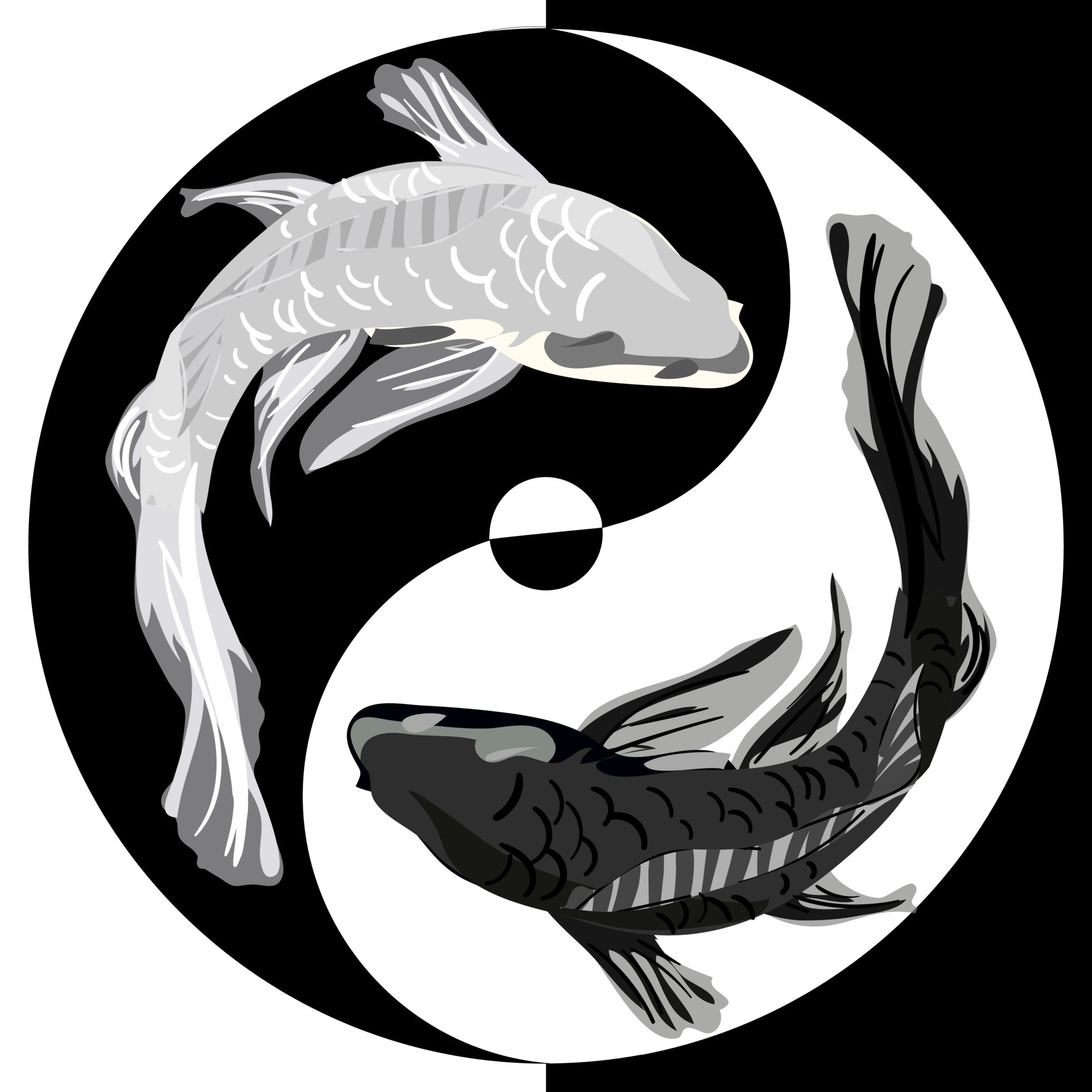Yin Yang Koi Fish Wallpaper Yin Yang Koi Fish Wallpaper