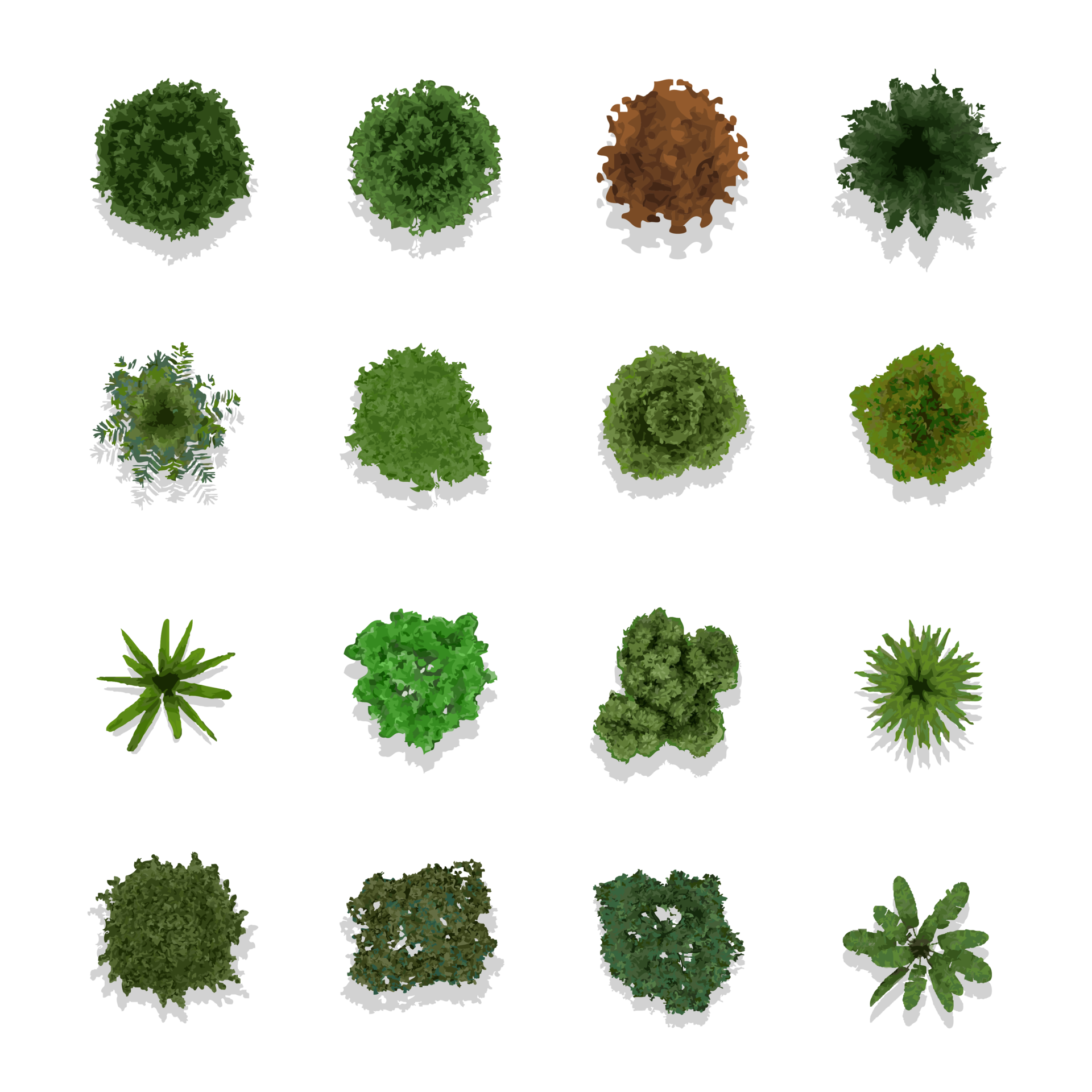 Trees top view for landscape design 20617003 PNG Trees top view for landscape design 20617003 PNG