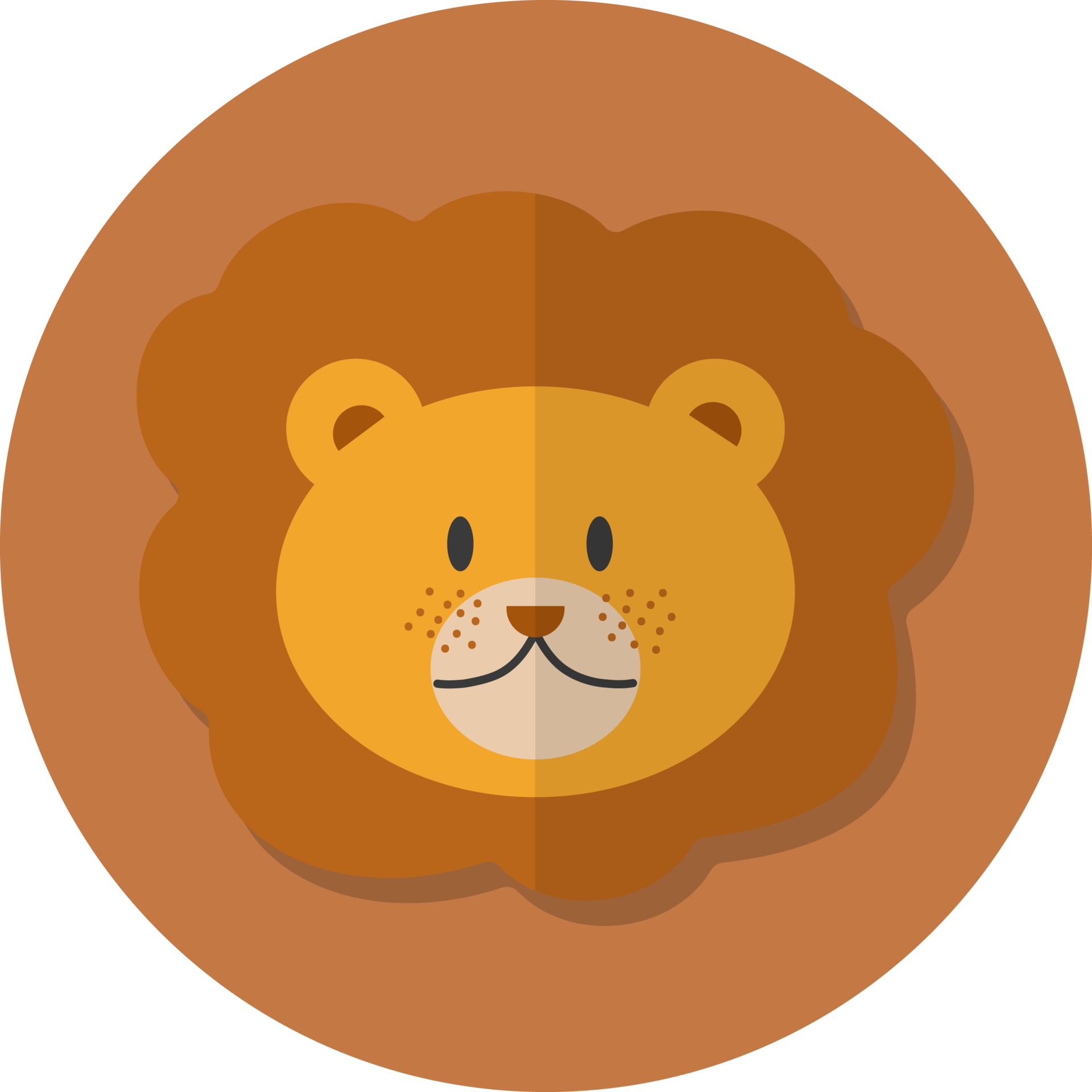 lion face icon, Cute animal icon in circle. 20647524 PNG