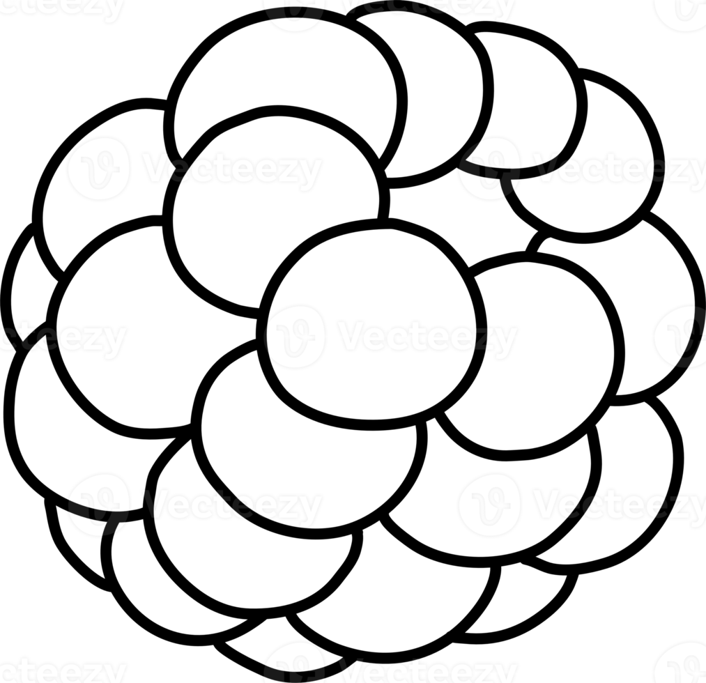 Raspberry Outline Hand Drawn 20695867 Png