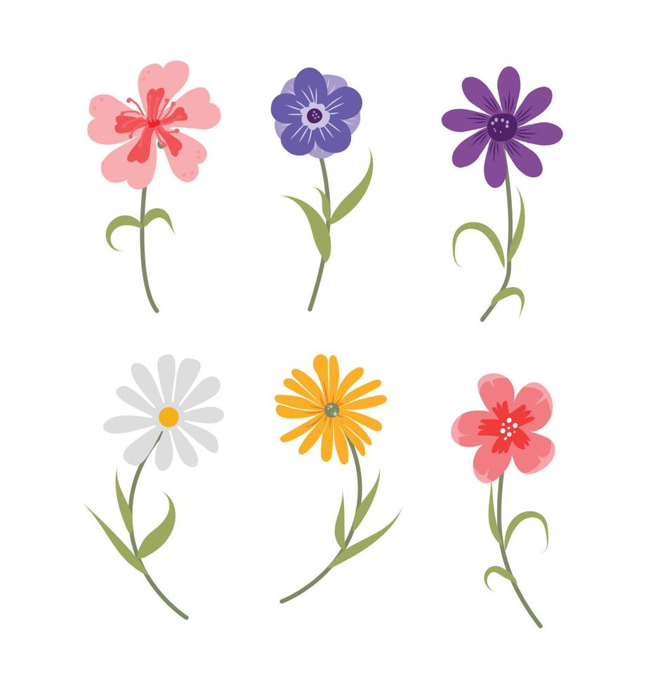 Beautiful vector spring flowers 20739388 Vector Art at Vecteezy