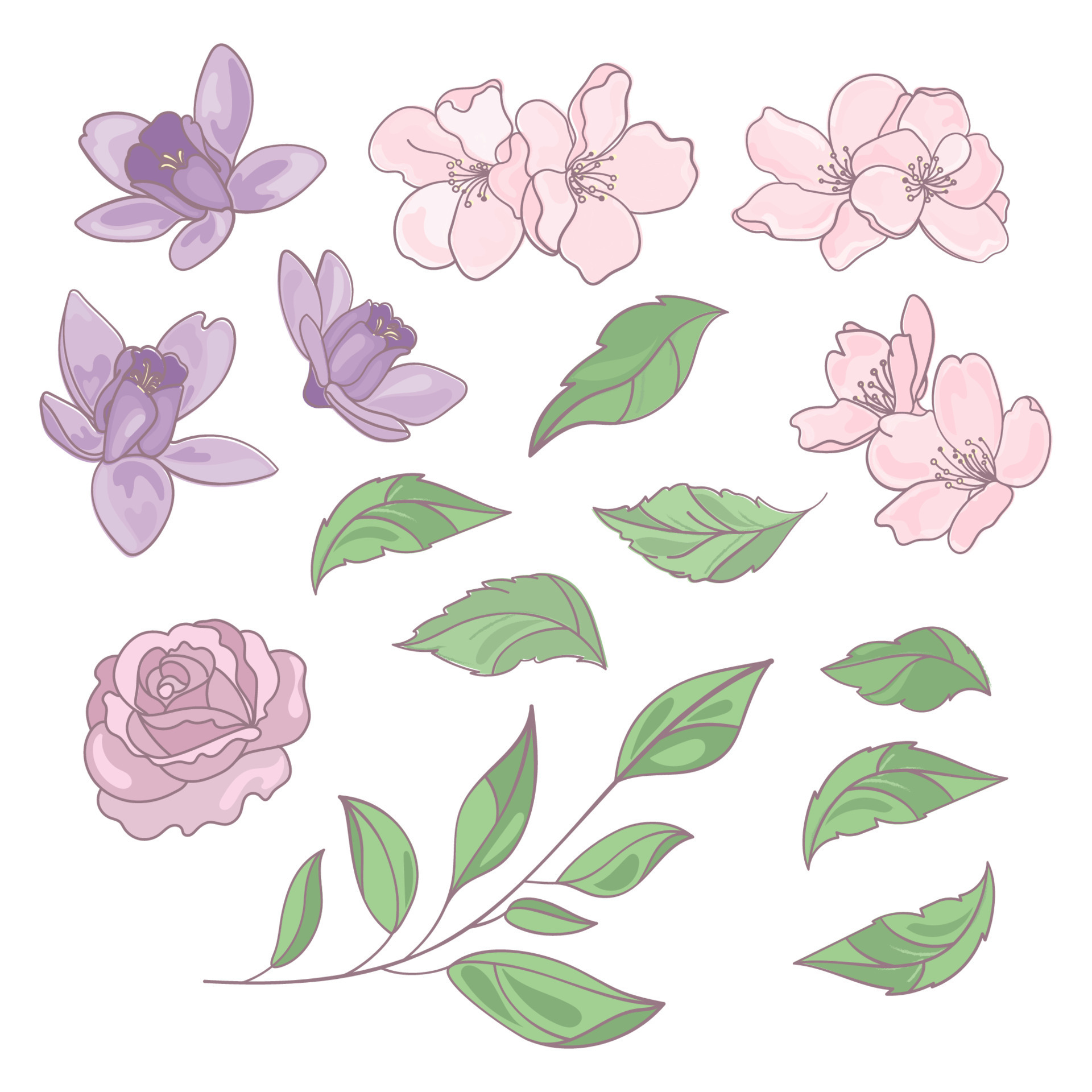 FLOWERS AND LEAVES Floral Clip Art Vector Illustration Set 20748508 ...