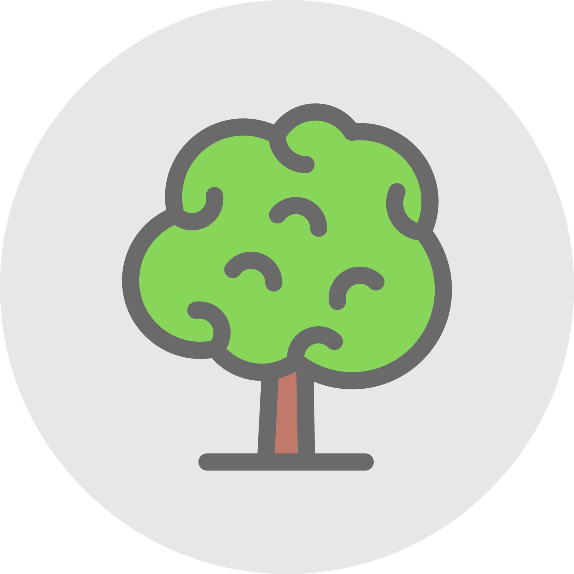 Trees Vector Icon Design 20772989 Vector Art at Vecteezy