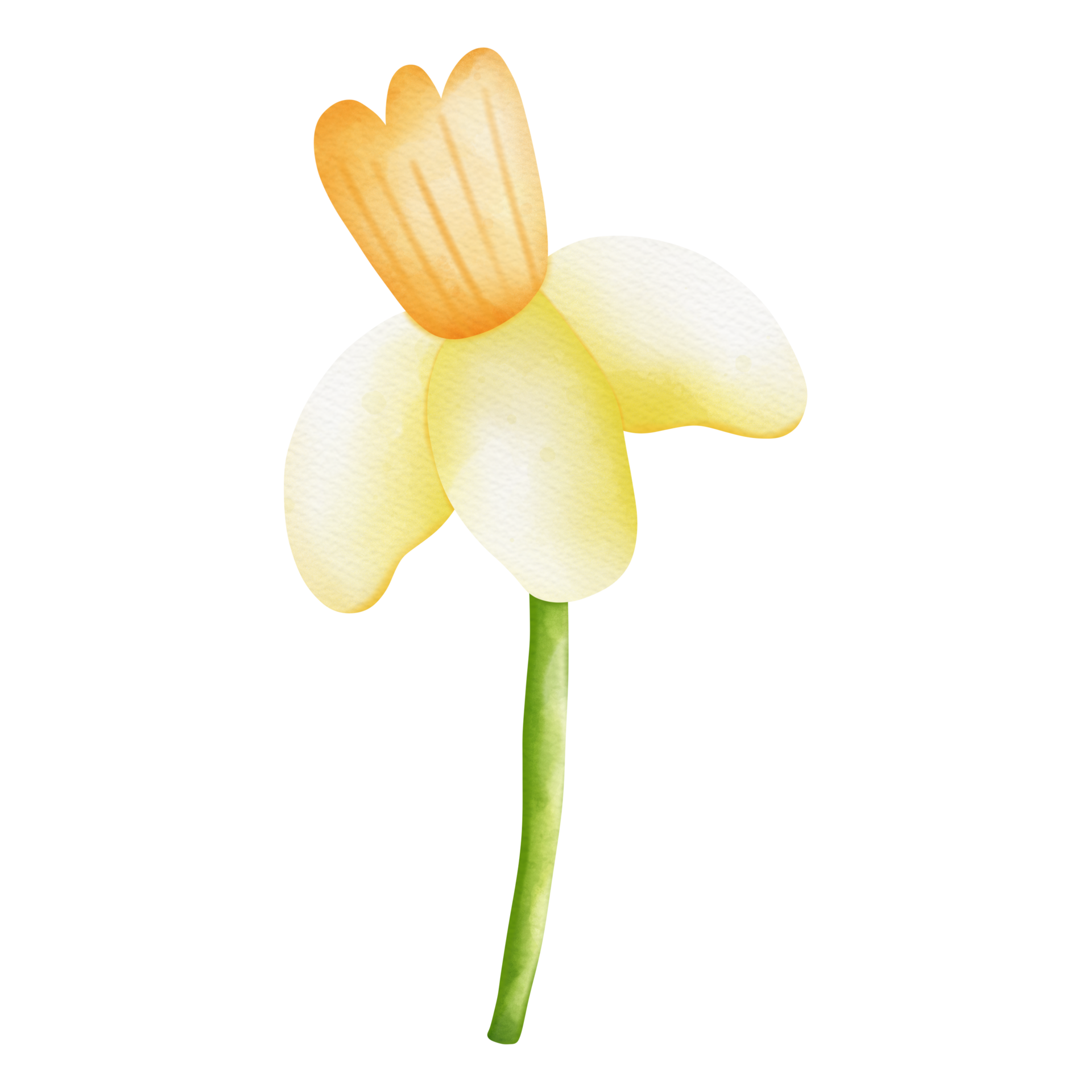 Watercolor Flower Hand Drawn Illustration Spring Season 20786545 Png