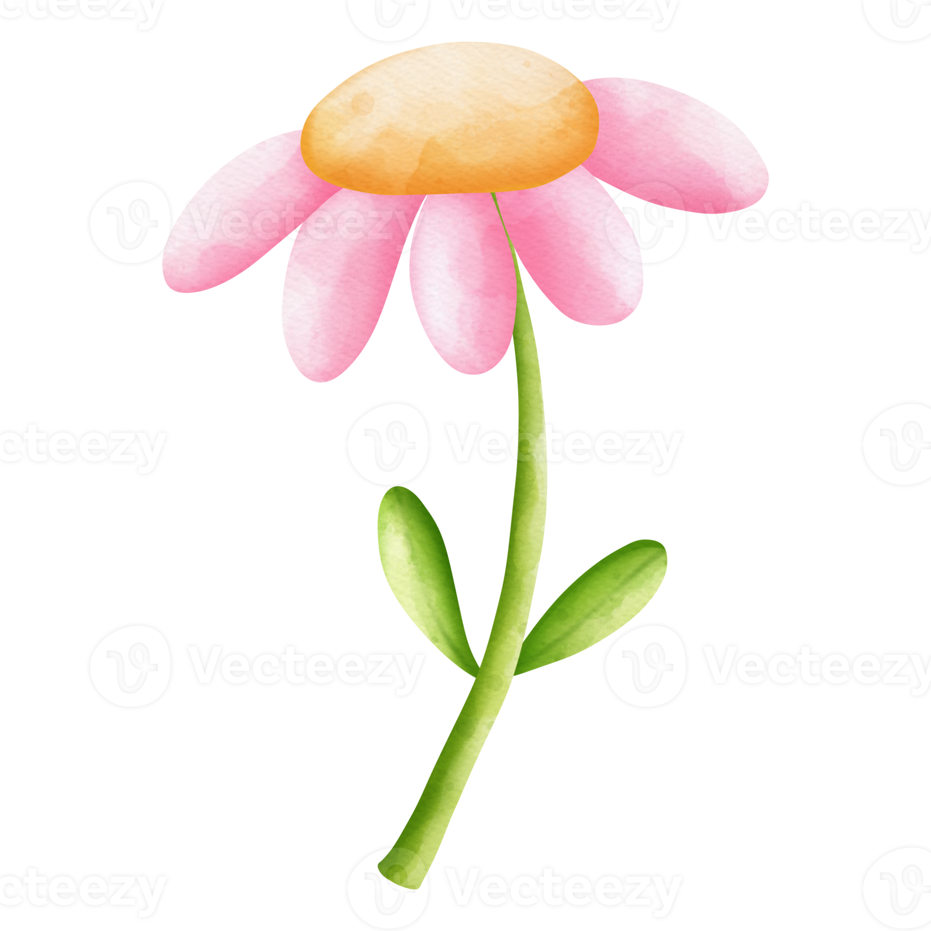 Watercolor Flower Hand Drawn Illustration Spring Season 20787641 Png