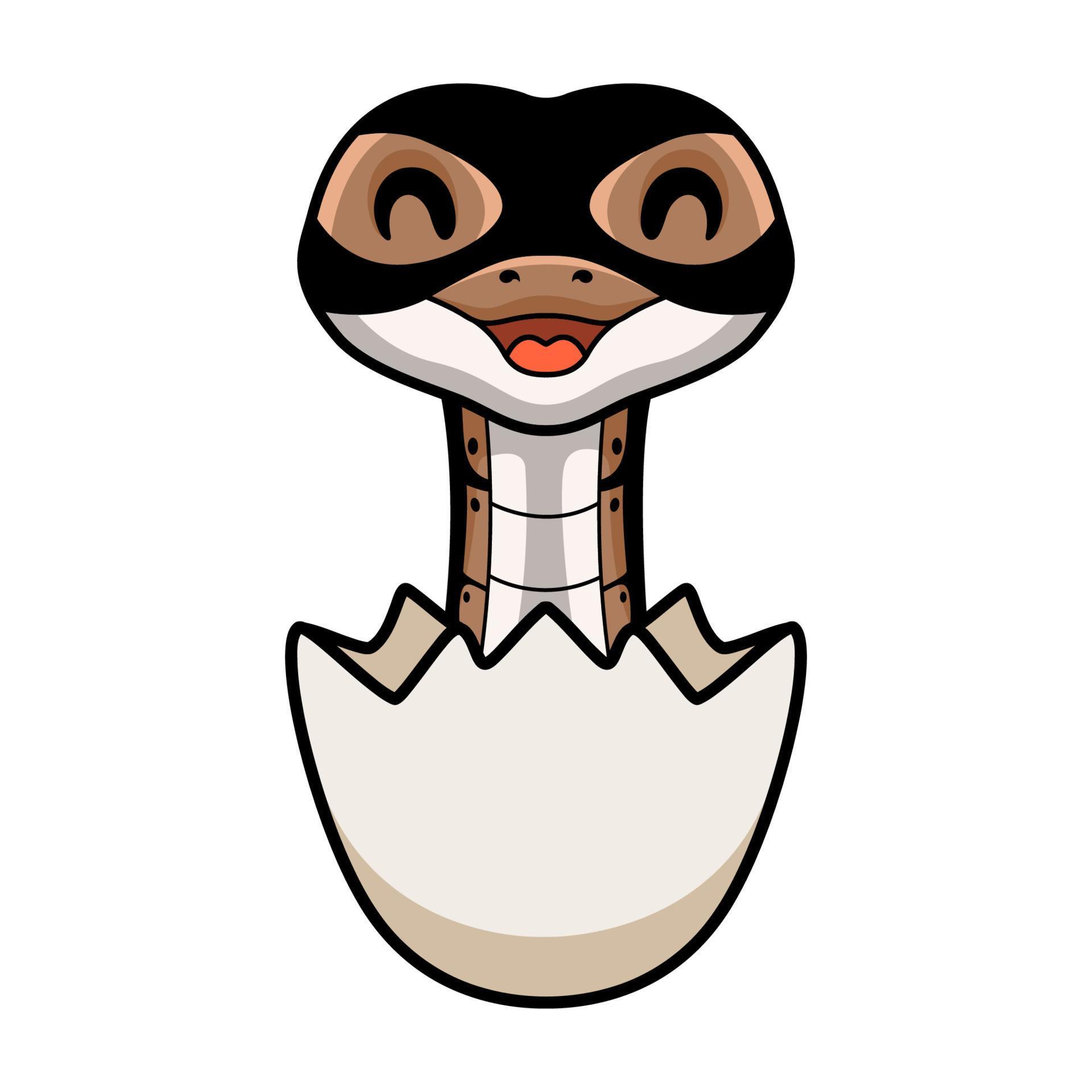 Cute ball python snake cartoon inside an egg 20805443 Vector Art at ...