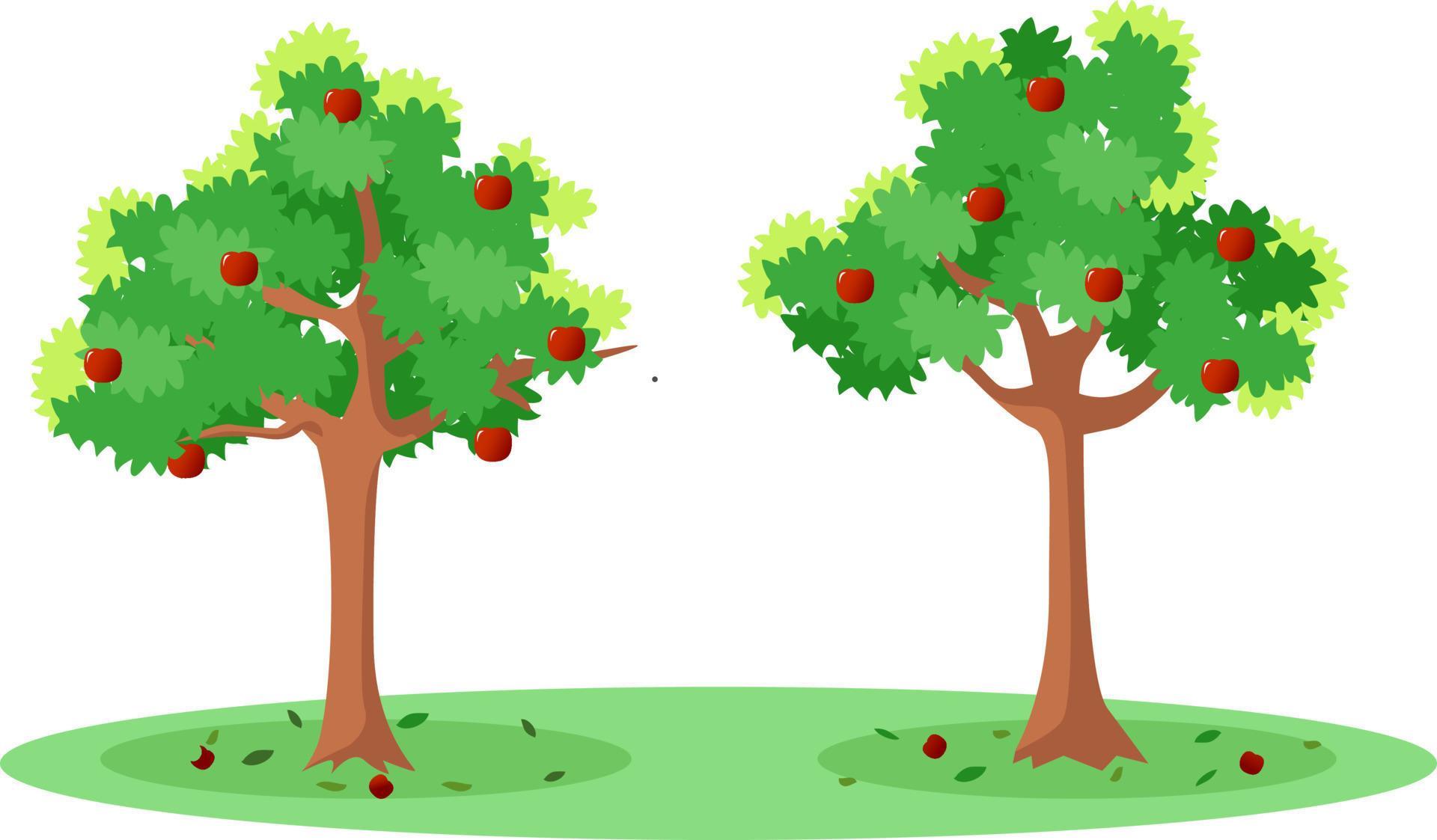 apple tree vector illustration, apple farm illustration 20811010 Vector ...