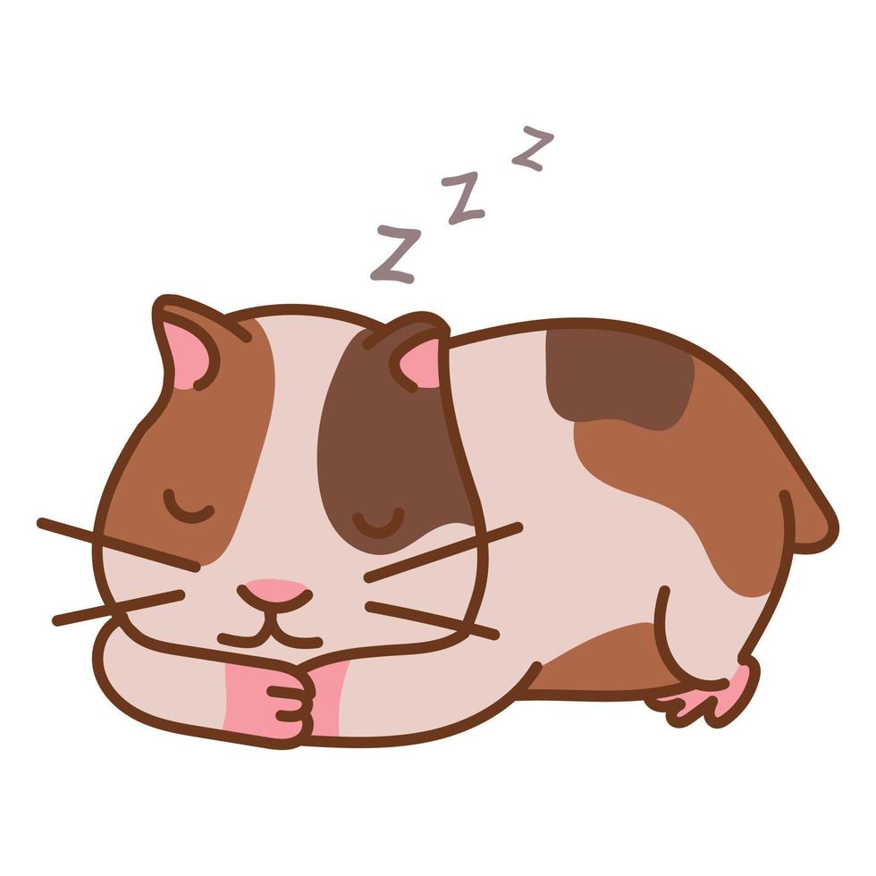 Sleeping Cute Hamster Color 20811190 Vector Art At Vecteezy