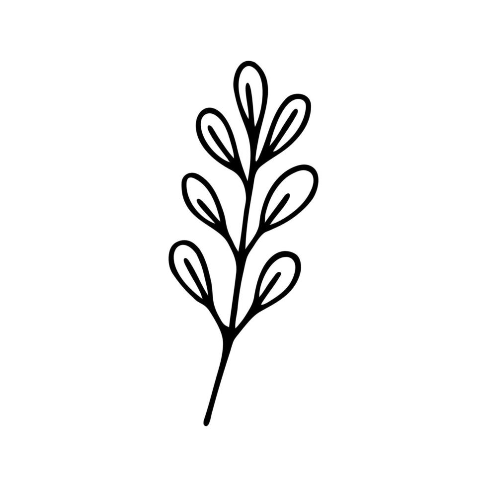 Hand Drawn Herbal Floral Clipart One Line Doodle Vector 20849353