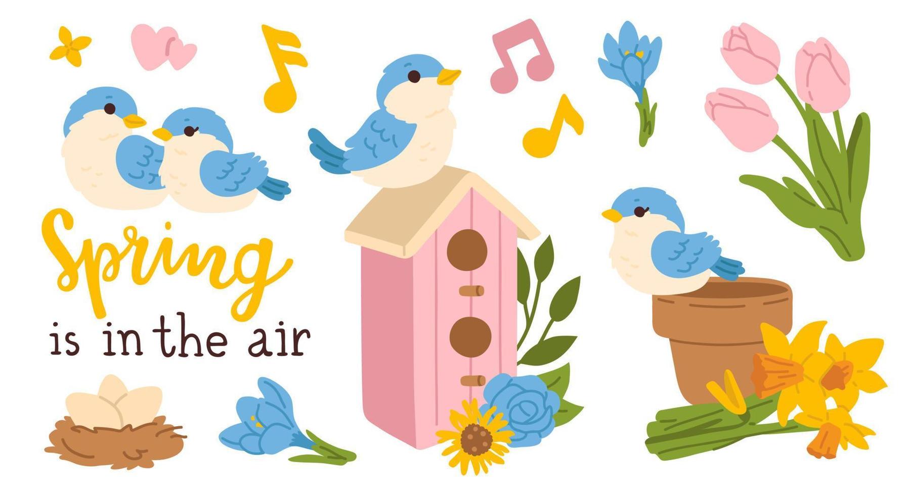 Set Of Doodle Bird Compositions 20854769 Vector Art At Vecteezy