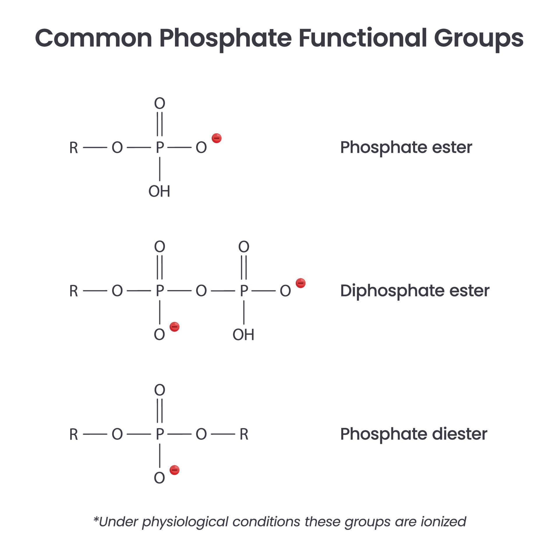 Phosphate ion functional groups biochemistry vector infographic ... Phosphate ion functional groups biochemistry vector infographic ...