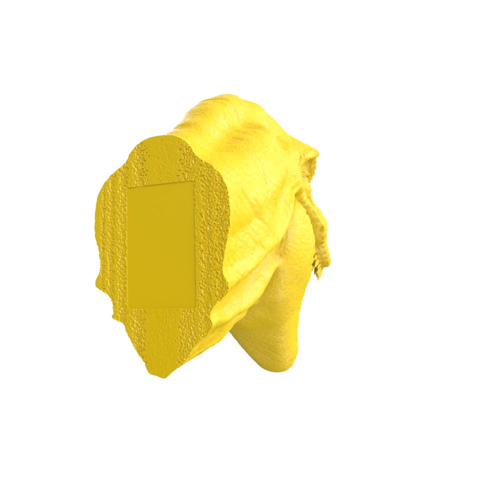 Tyrannosaurus Rex isolated on transparent background 20953992 PNG Tyrannosaurus Rex isolated on transparent background 20953992 PNG