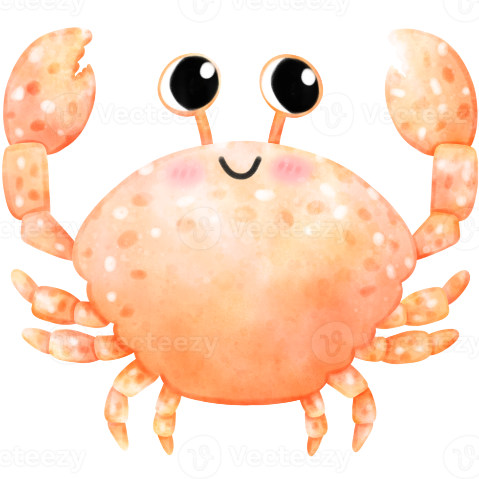 Cute crab, crab illustration, sea life, marine creature 20955928 PNG