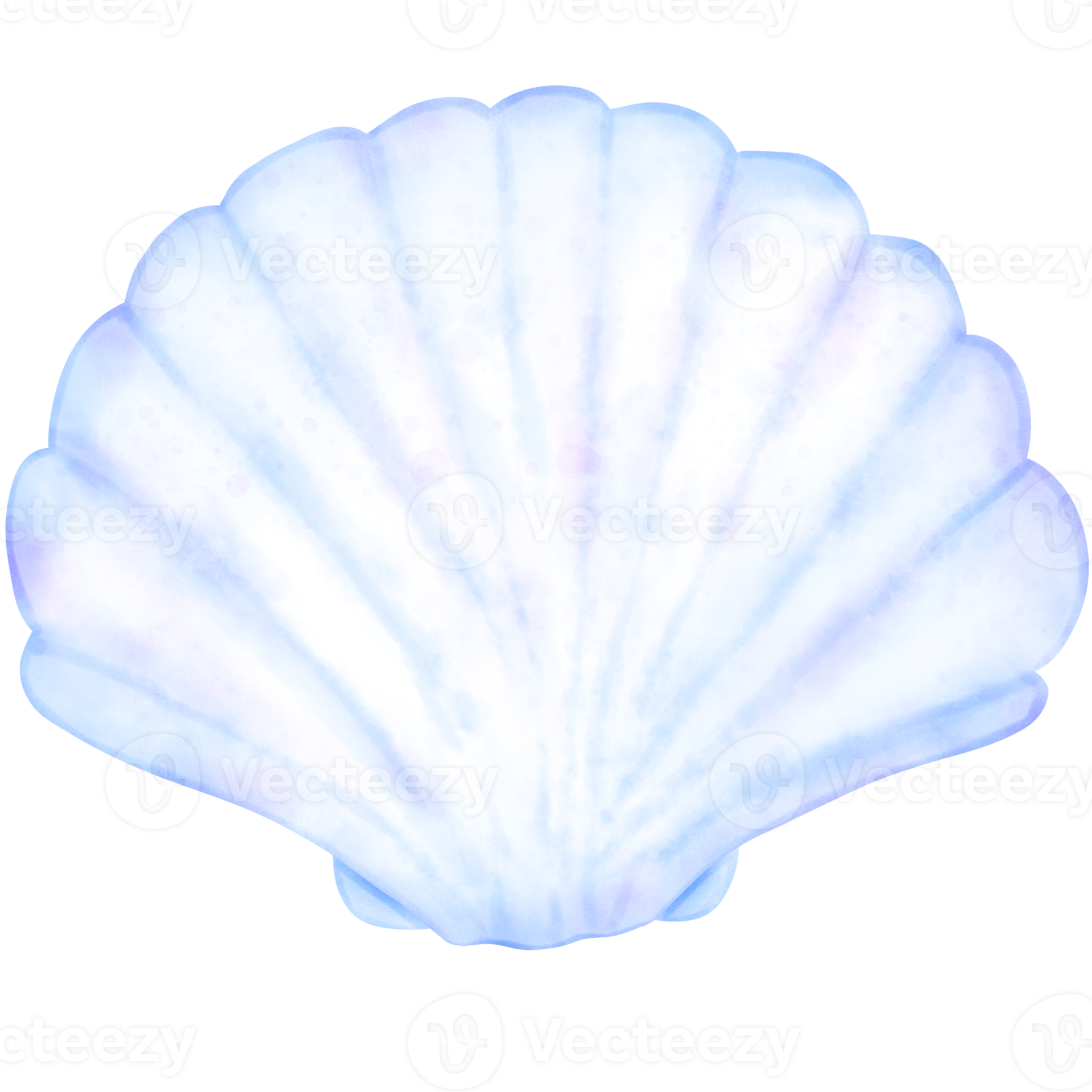 Cute Pearl Shell, Shell illustration, Pearl Shell, cute shell illustration, sea life 20956138 PNG