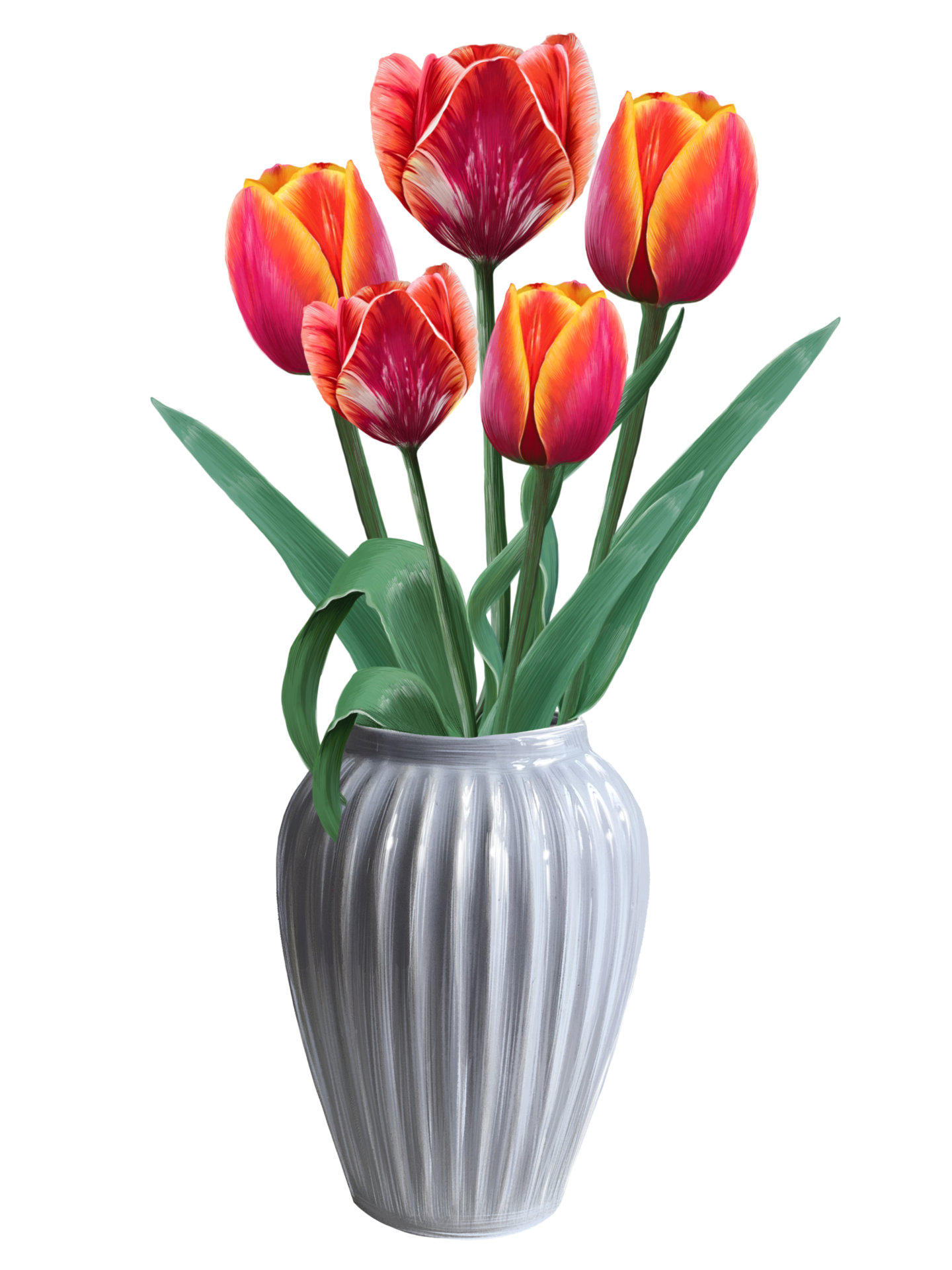 Red Tulips In A Vase Illustration 20966688 PNG red-tulips-in-a-vase-illustration-20966688-png