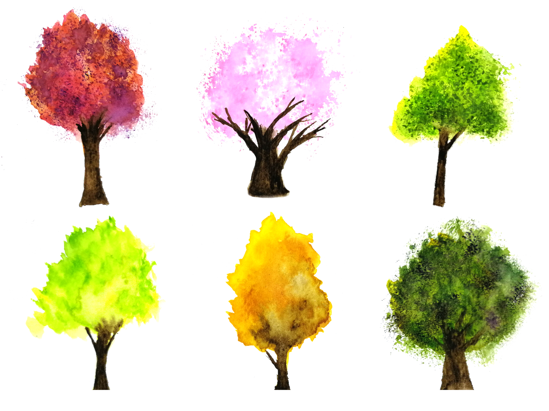 watercolor painting set tree. png white background. 20977332 PNG watercolor painting set tree. png white background. 20977332 PNG