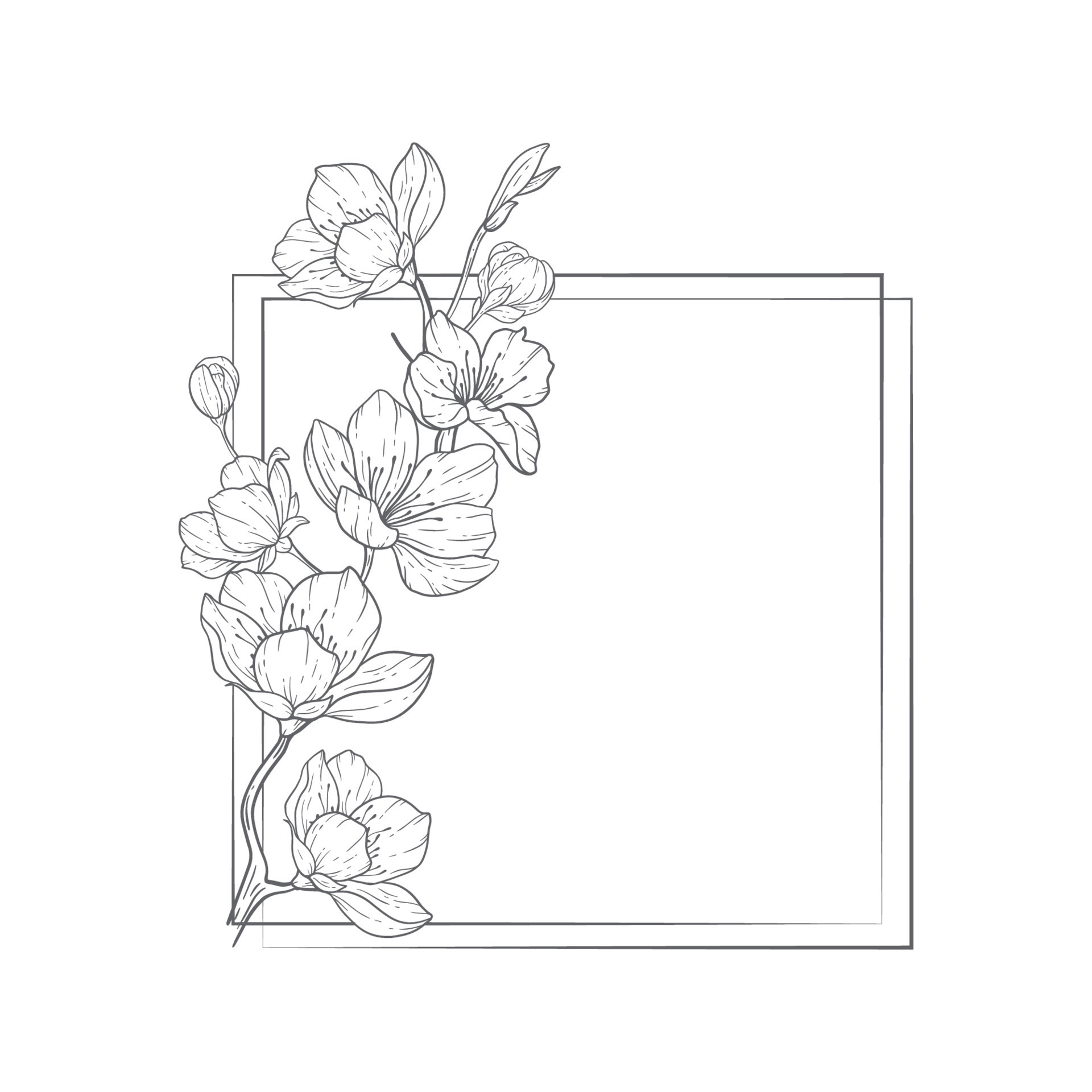 Floral Line Art Frame Sakura Flower Outline Illustration Set Hand