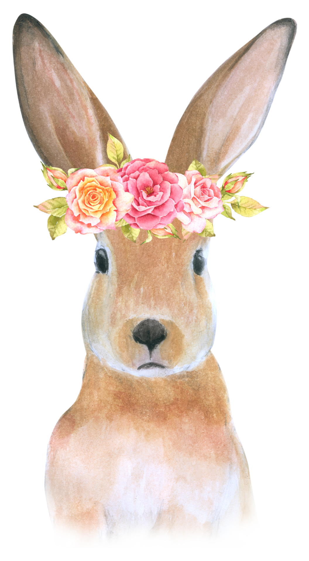 Free Happy Easter Cute Rabbit With Flower Watercolor 21024426 Png With