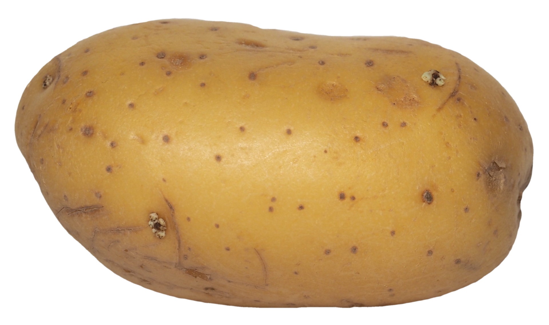 potato vegetable food transparent PNG 21049293 PNG potato vegetable food transparent PNG 21049293 PNG