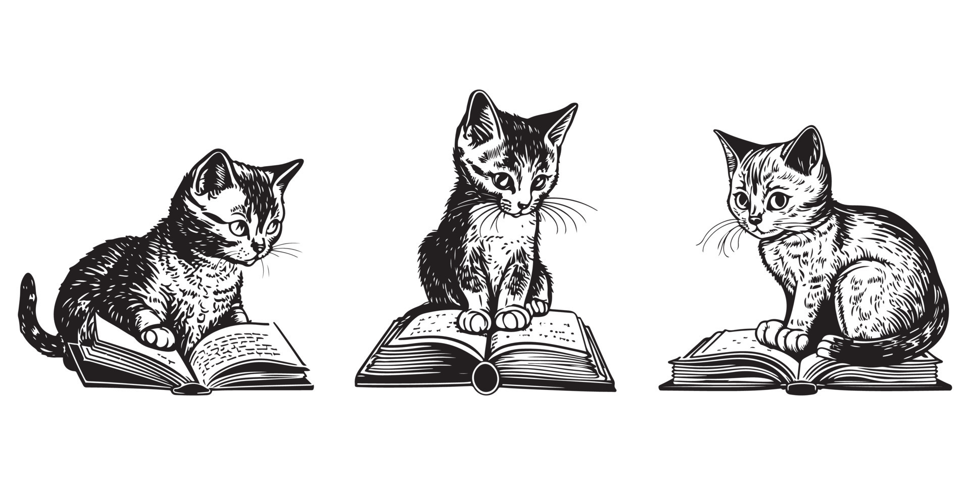 Set Of A Seating Cute Cat Reading Book Vector Black Outline Silhouette Isolated On White