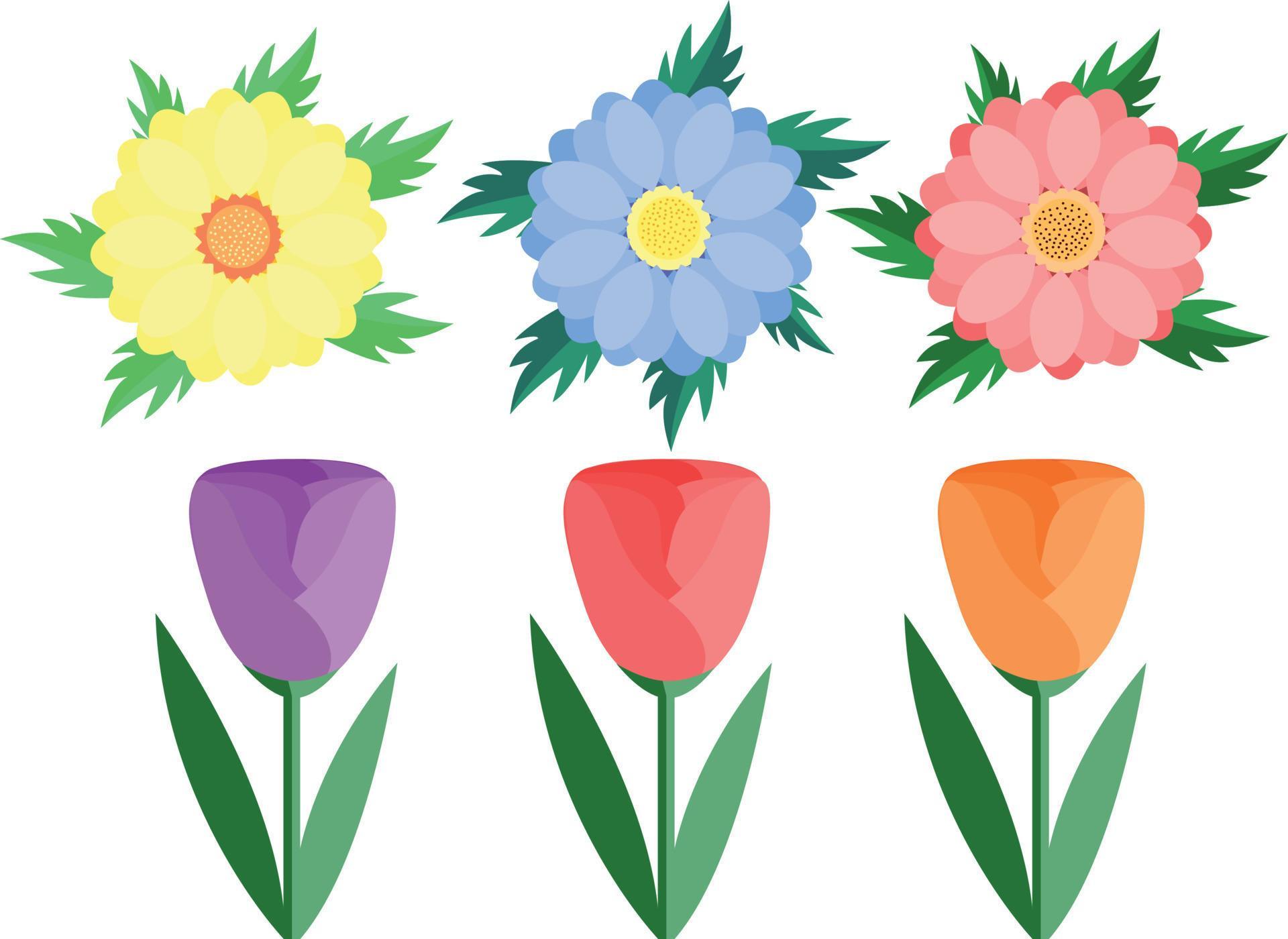 Spring flowers. Vector design flat 21084675 Vector Art at Vecteezy