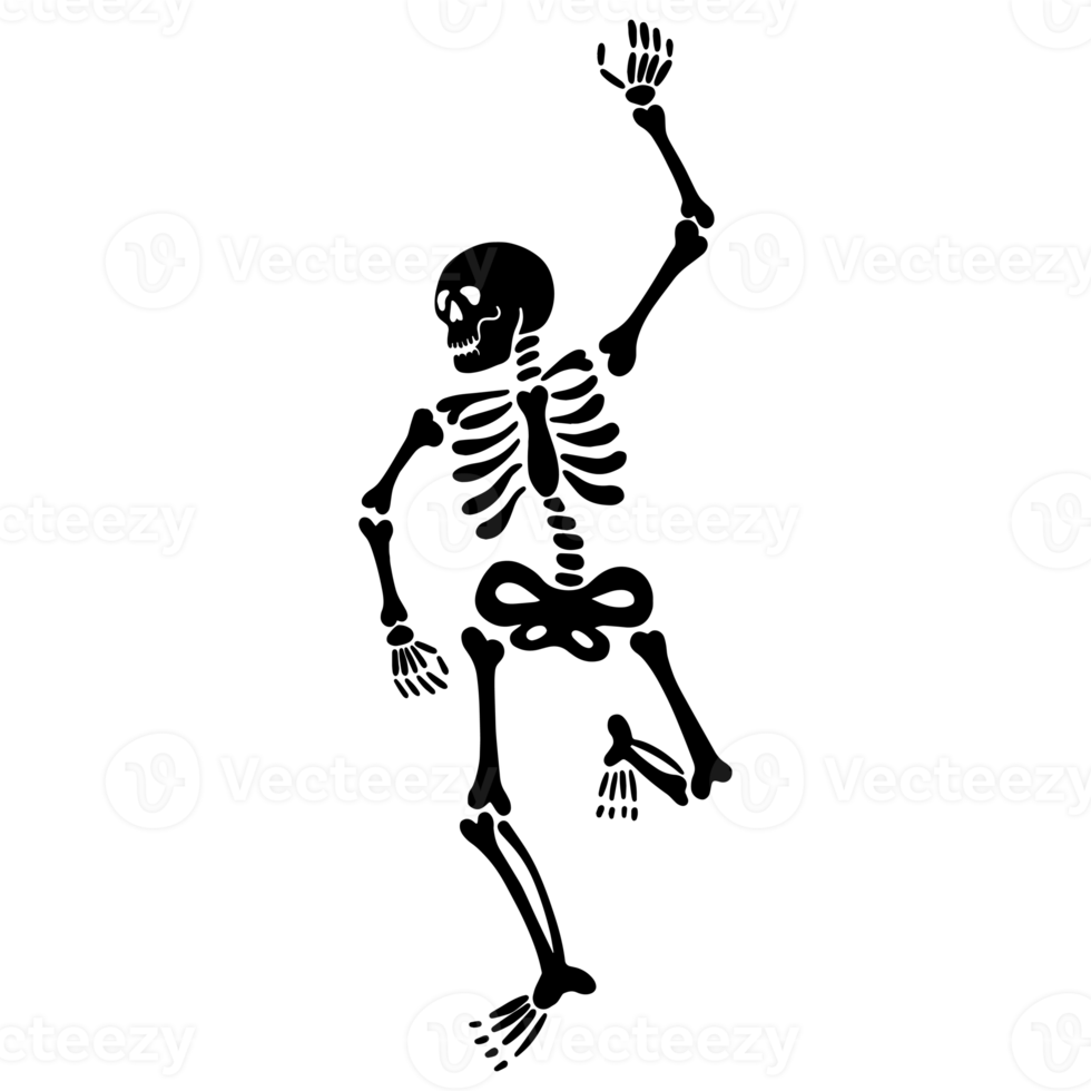 Skeleton Png Illustration 21095604 Png