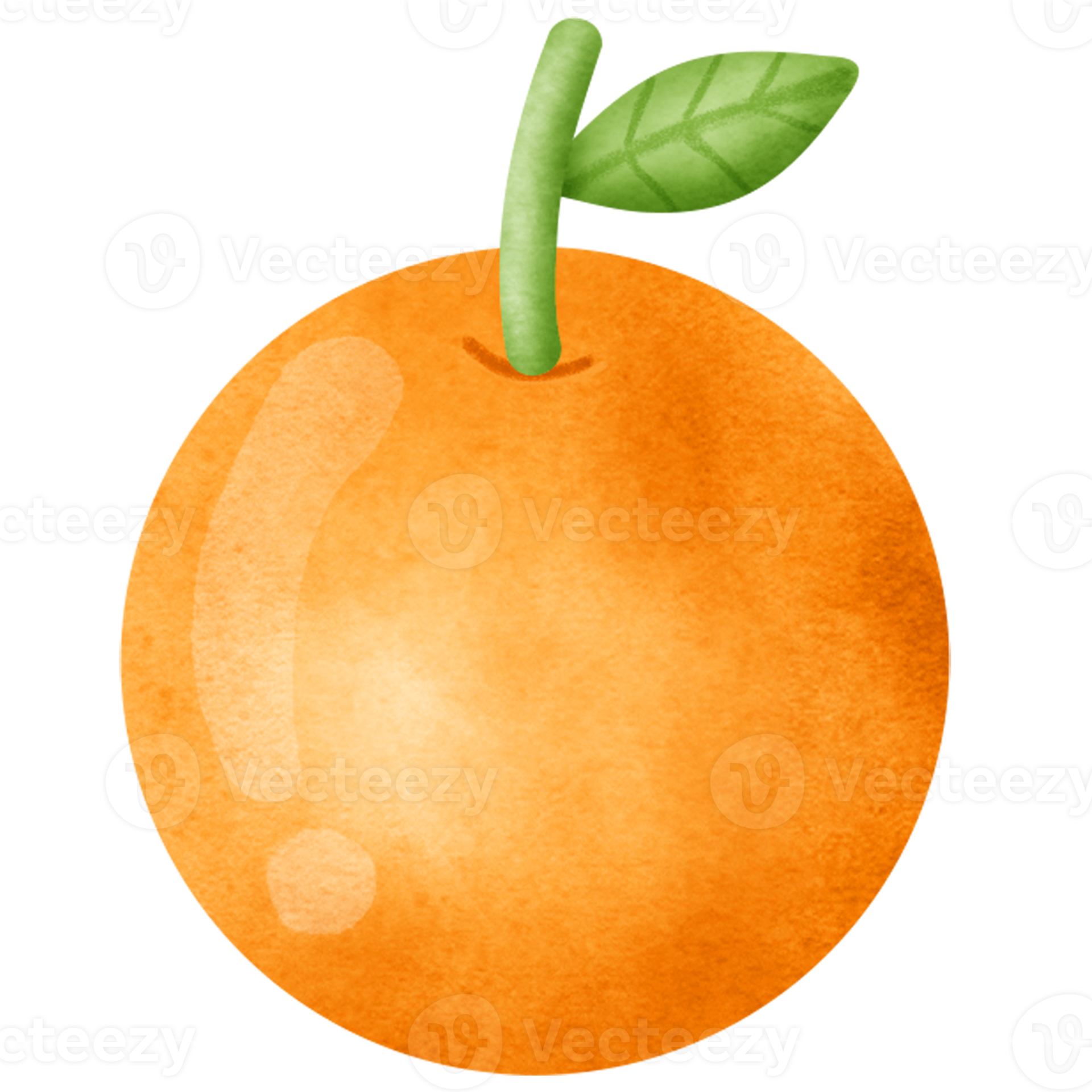 Watercolor orange clipart. 21096402 PNG