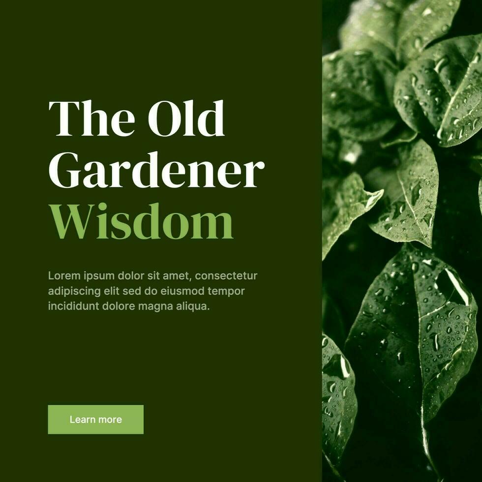 Nature LinkedIn Post Template 21108566 Template